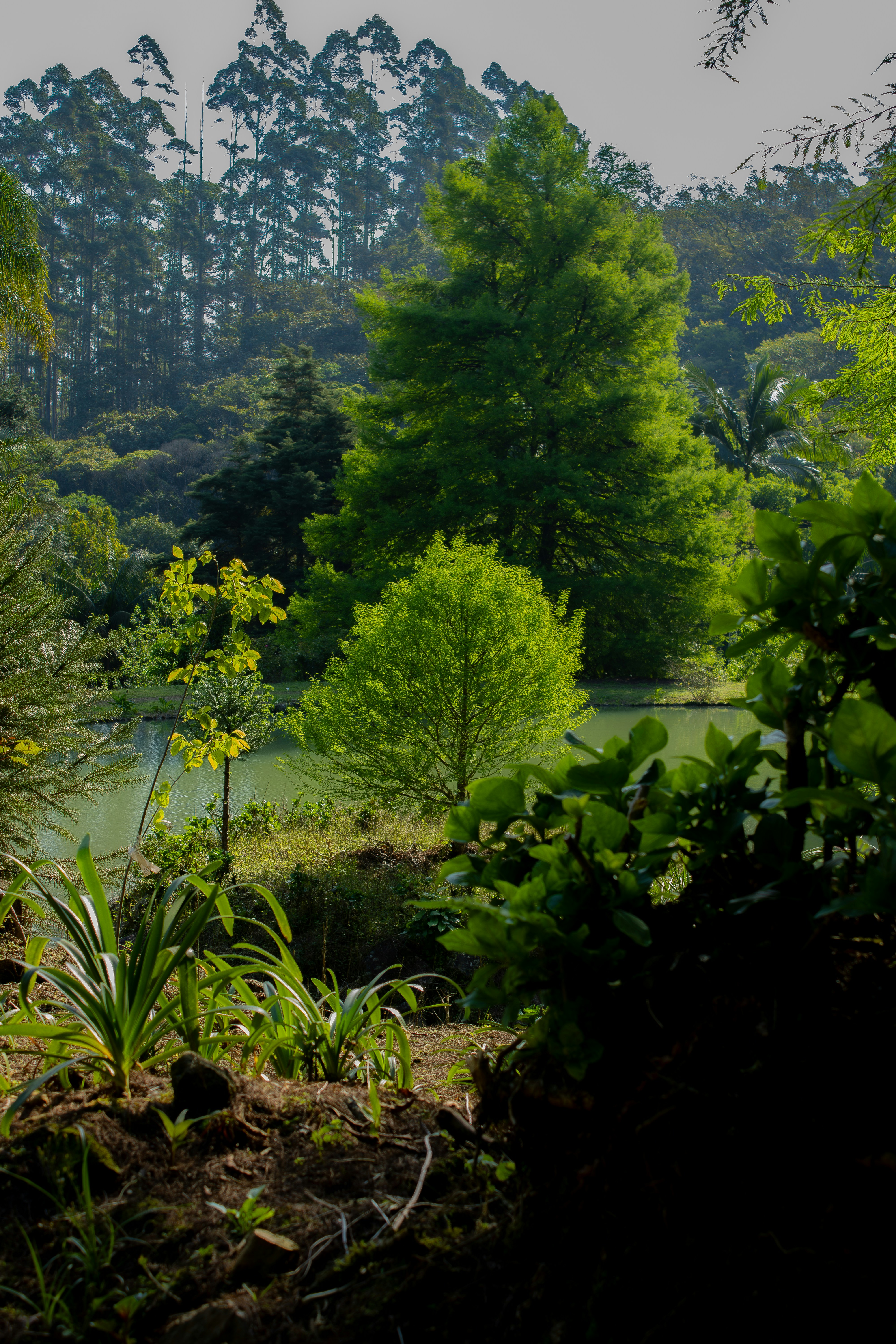 Photo by Leandro Rossi with Canon EOS 2000D