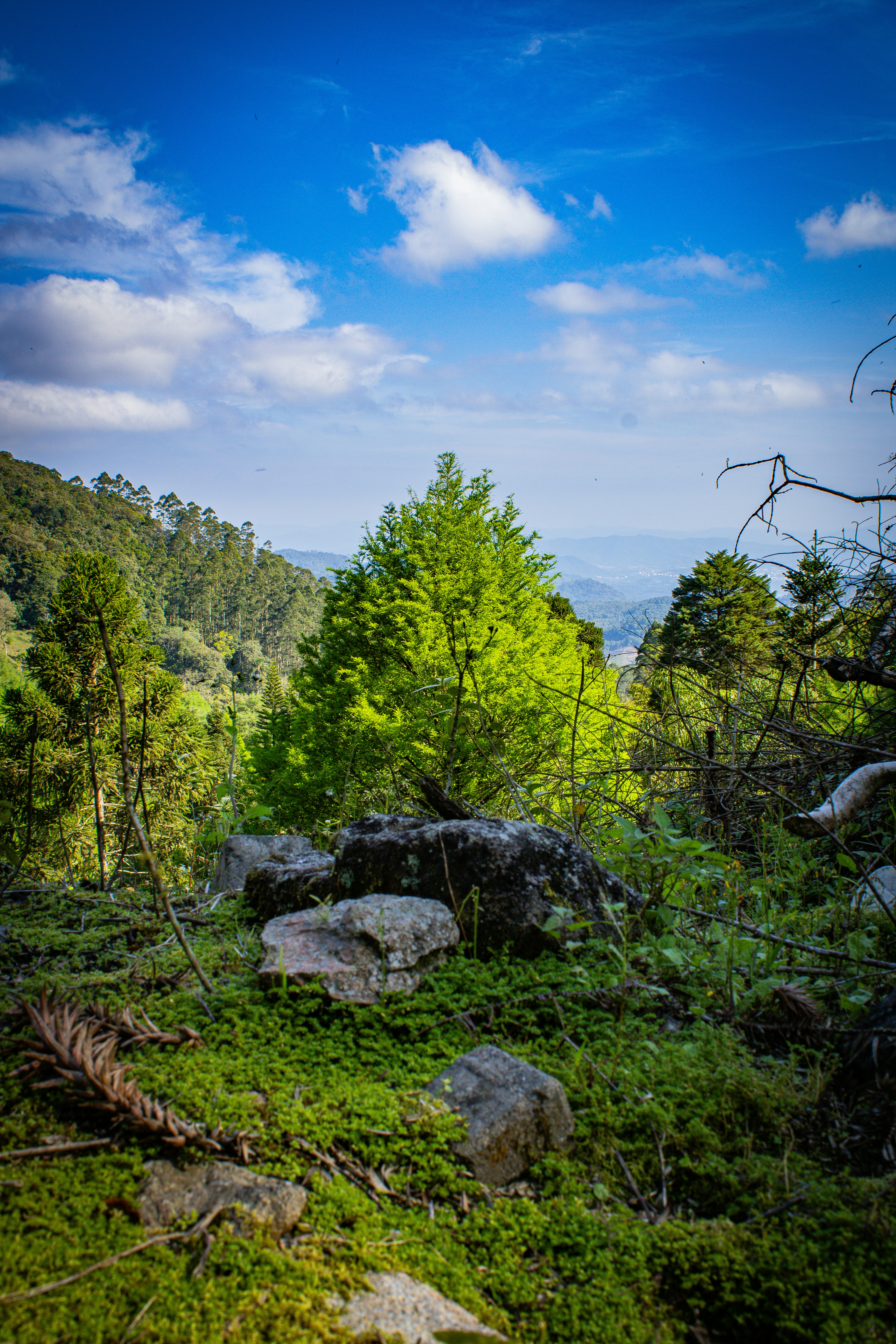 Photo by Leandro Rossi with Canon EOS 2000D