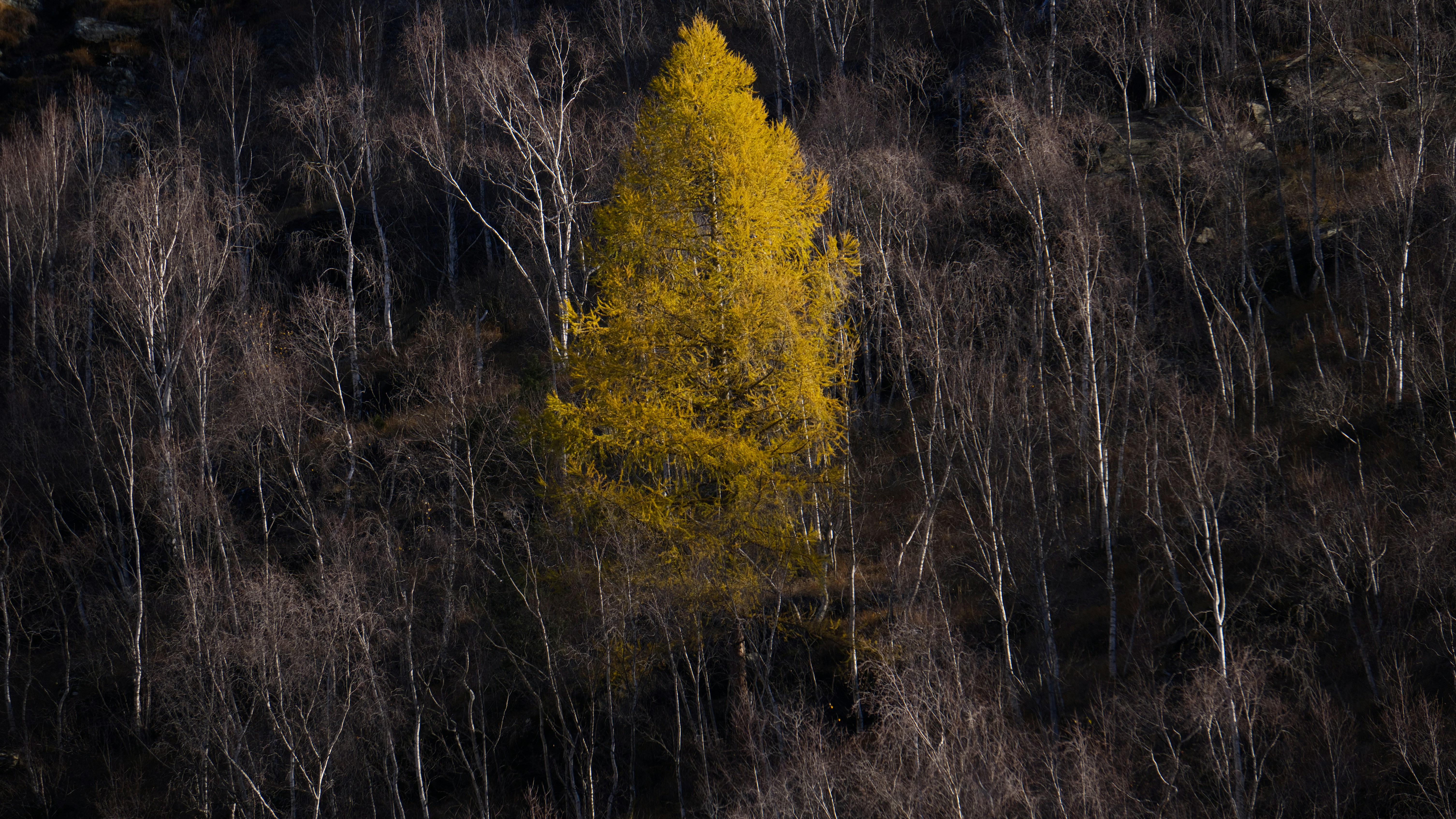 Photo by Matteo Piscioneri with Sony Alpha 6100