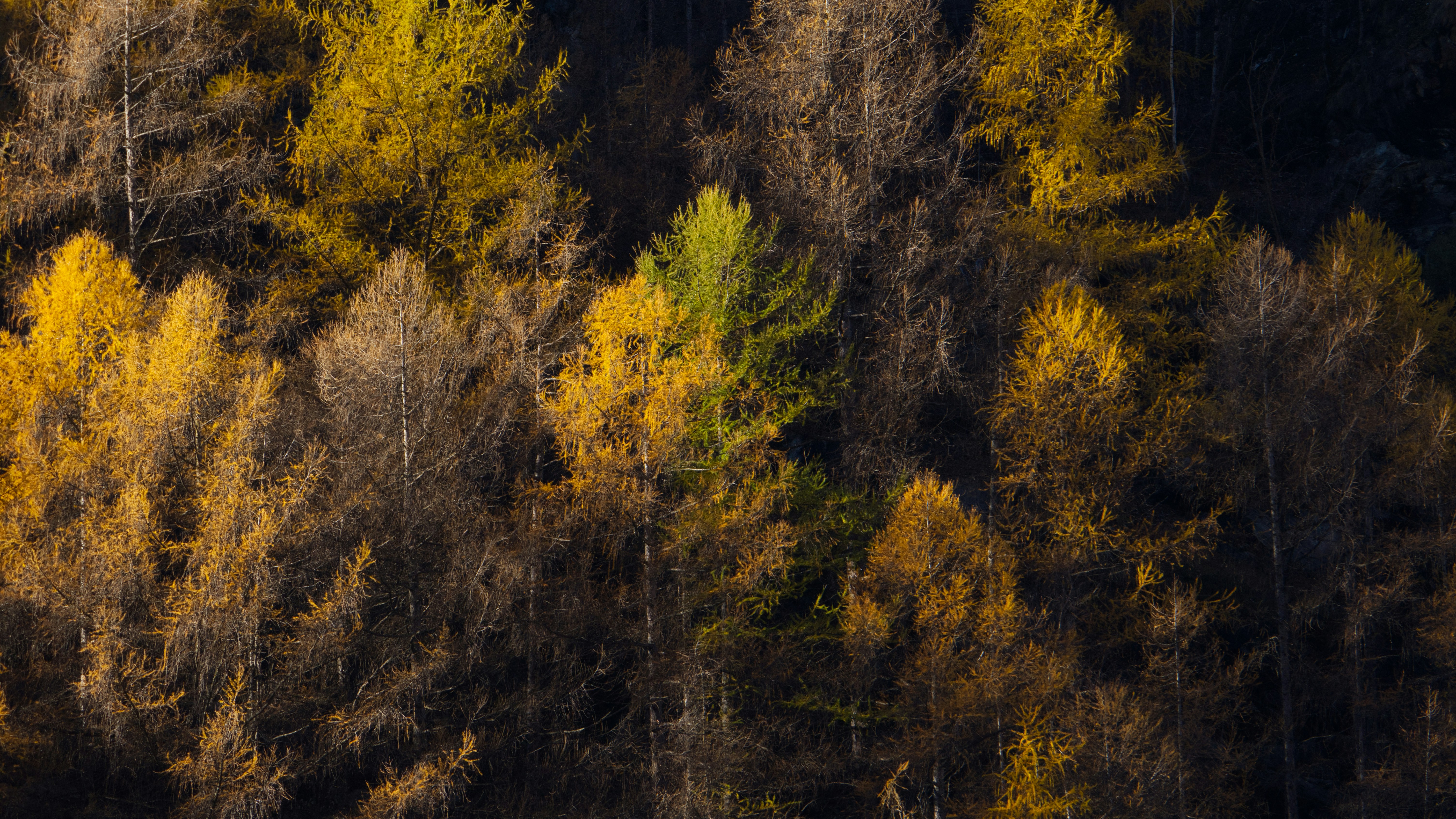 Photo by Matteo Piscioneri with Sony Alpha 6100