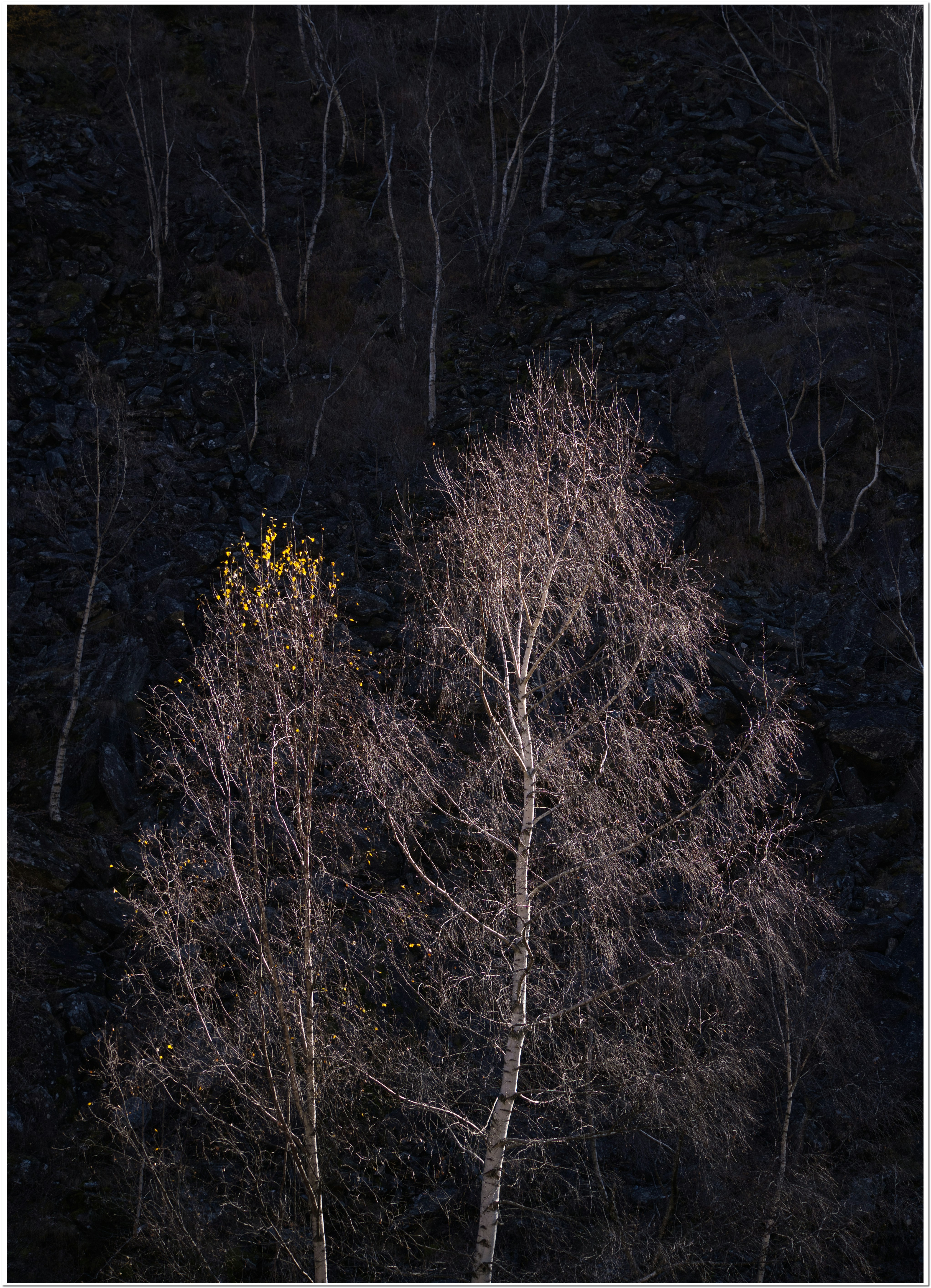 Photo by Matteo Piscioneri with Sony Alpha 6100