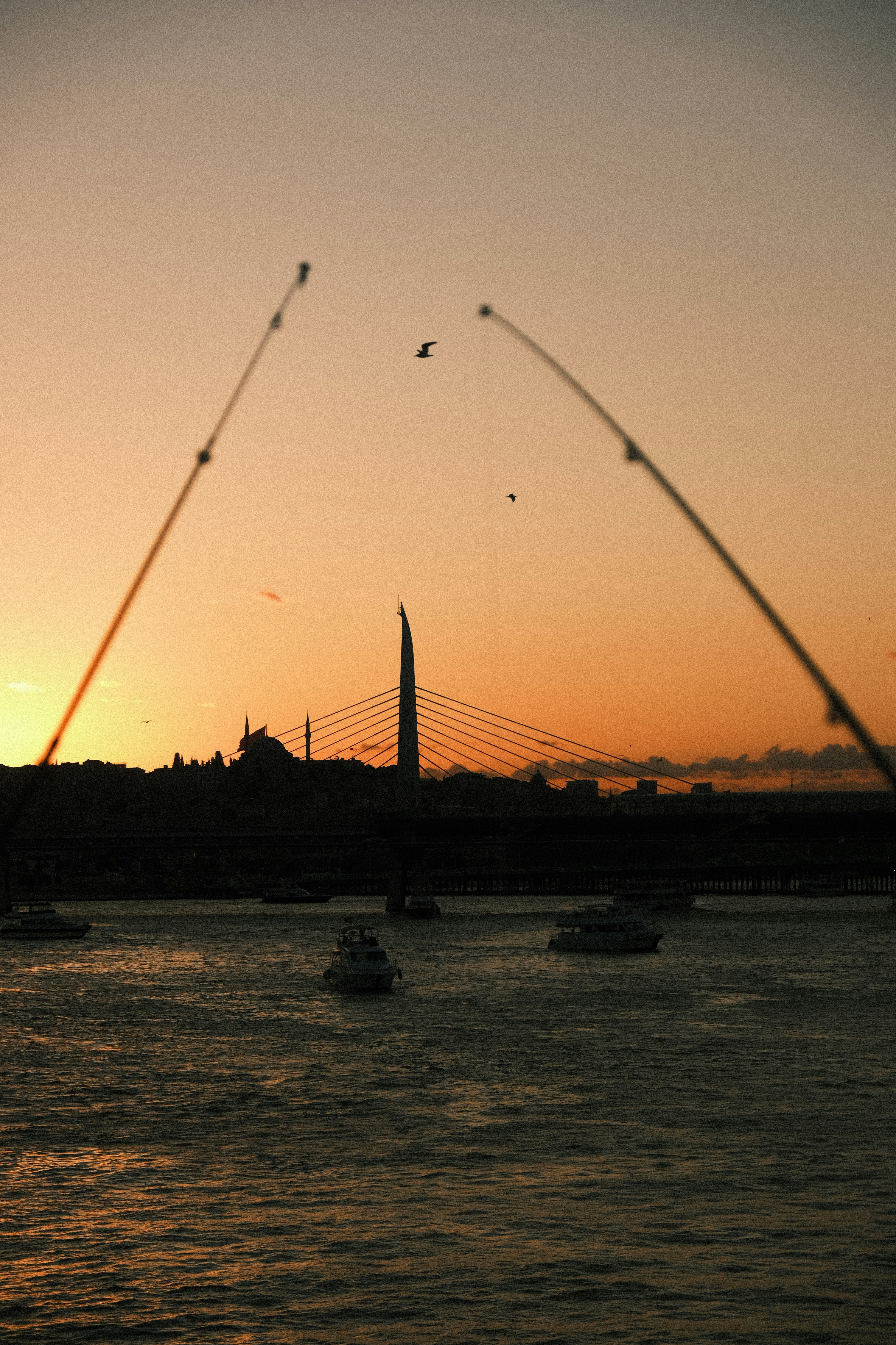 Dusk on the Cable-Stayed Spine: Silhouettes, Boats, and a Quiet River