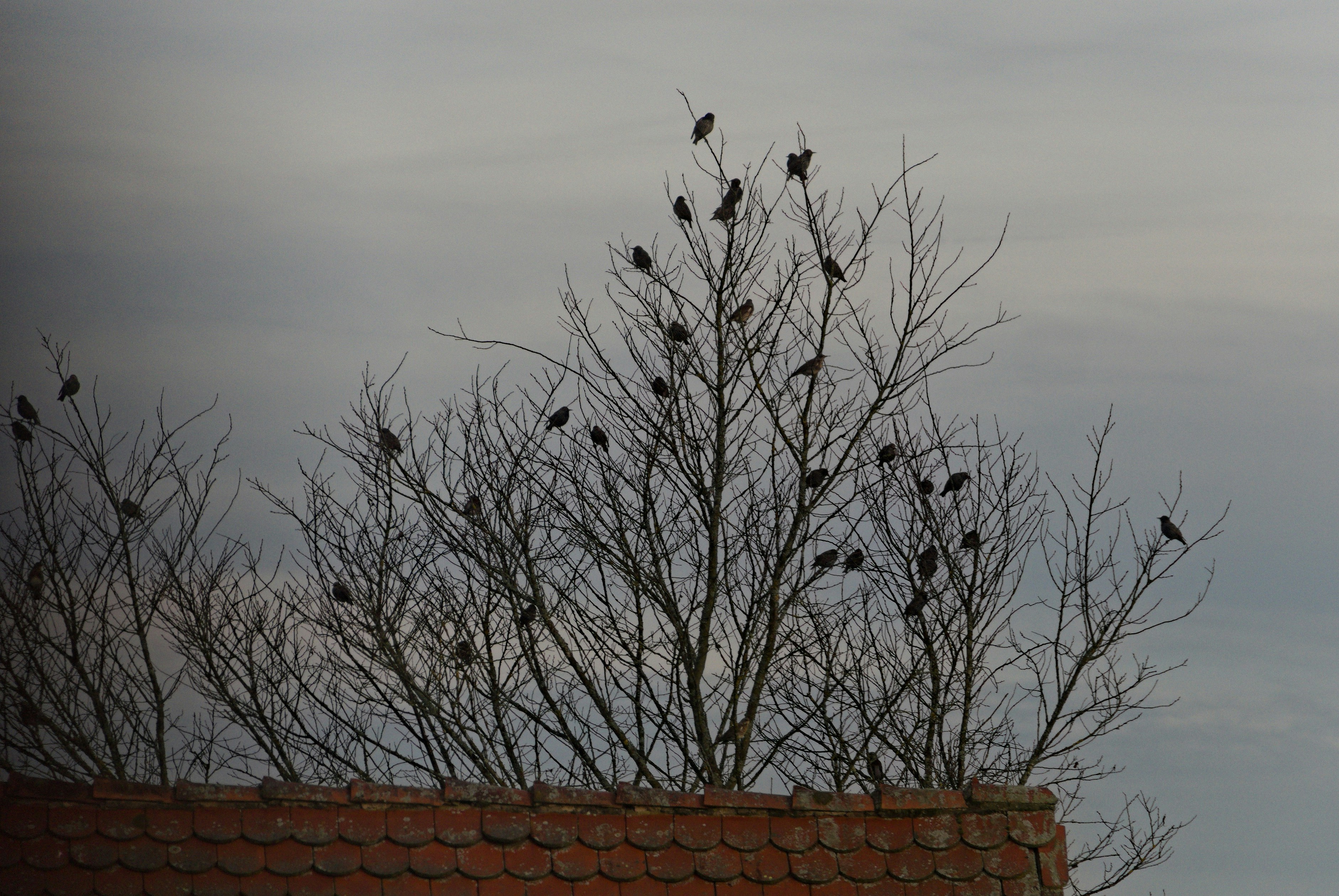 Photo by Nadja Thöner with Panasonic Lumix GH4