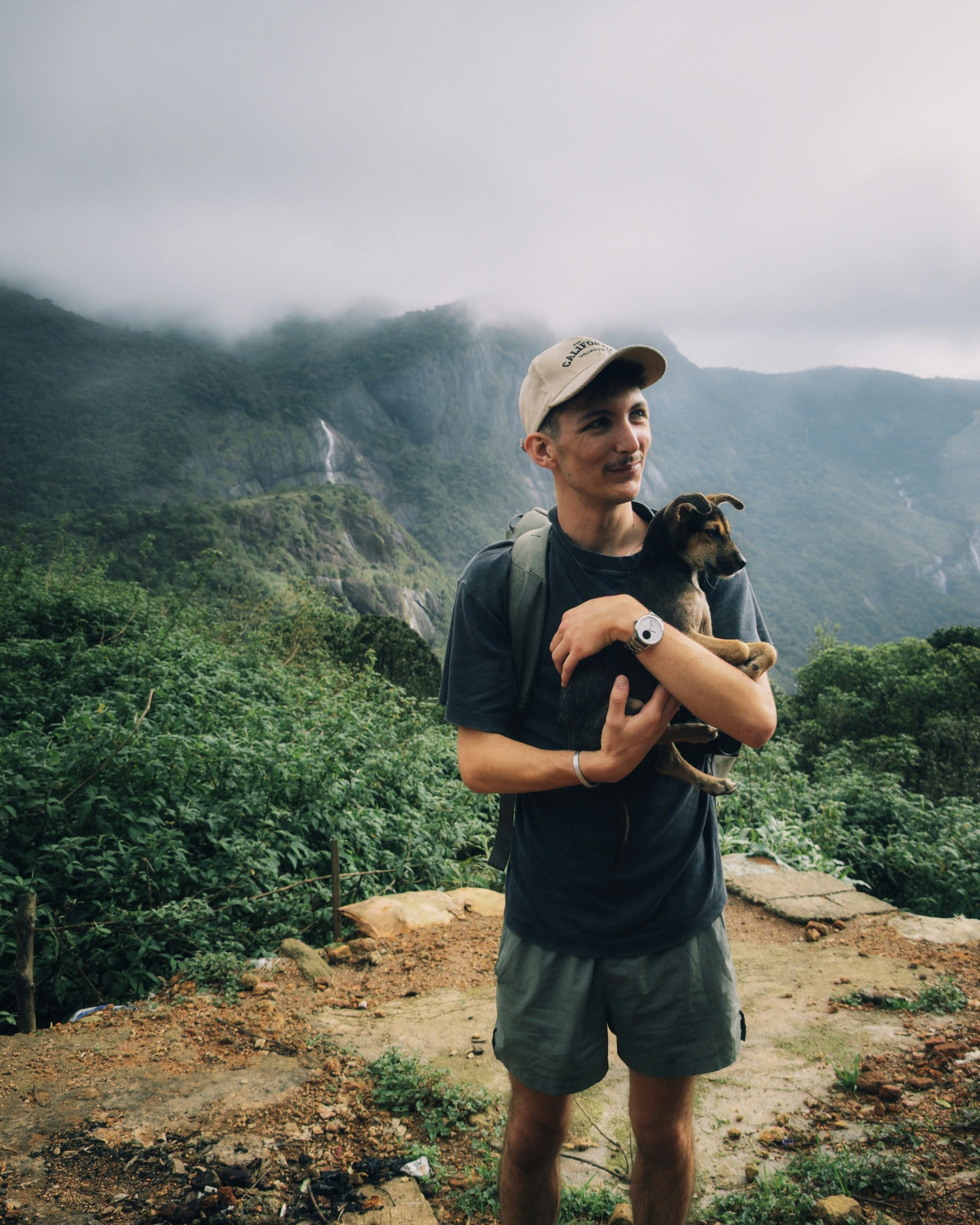 Verdant Crest Bond: A Hiker and His Dog Over Verdant Valleys