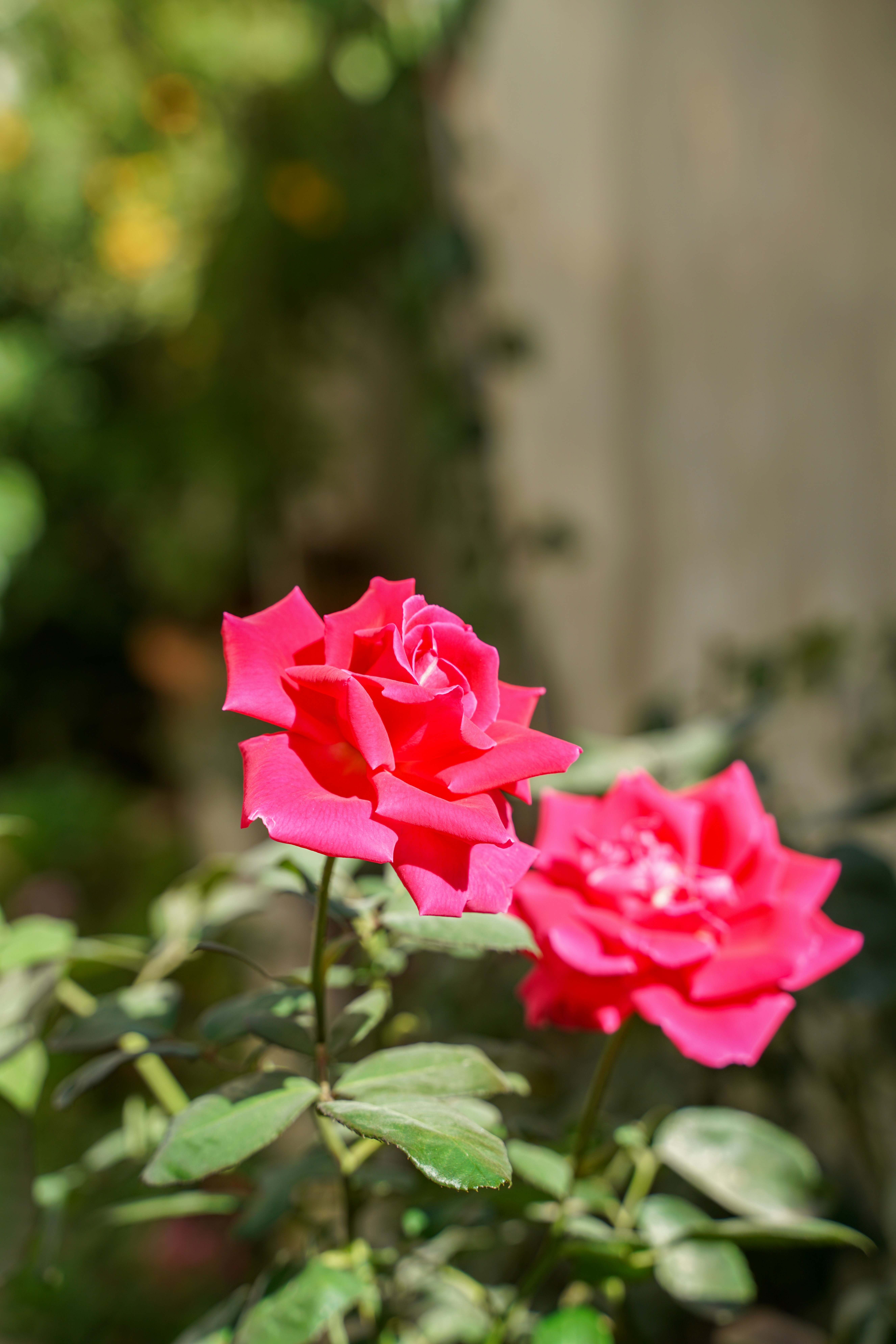 Photo by George 🦅 with Sony Alpha 7R II