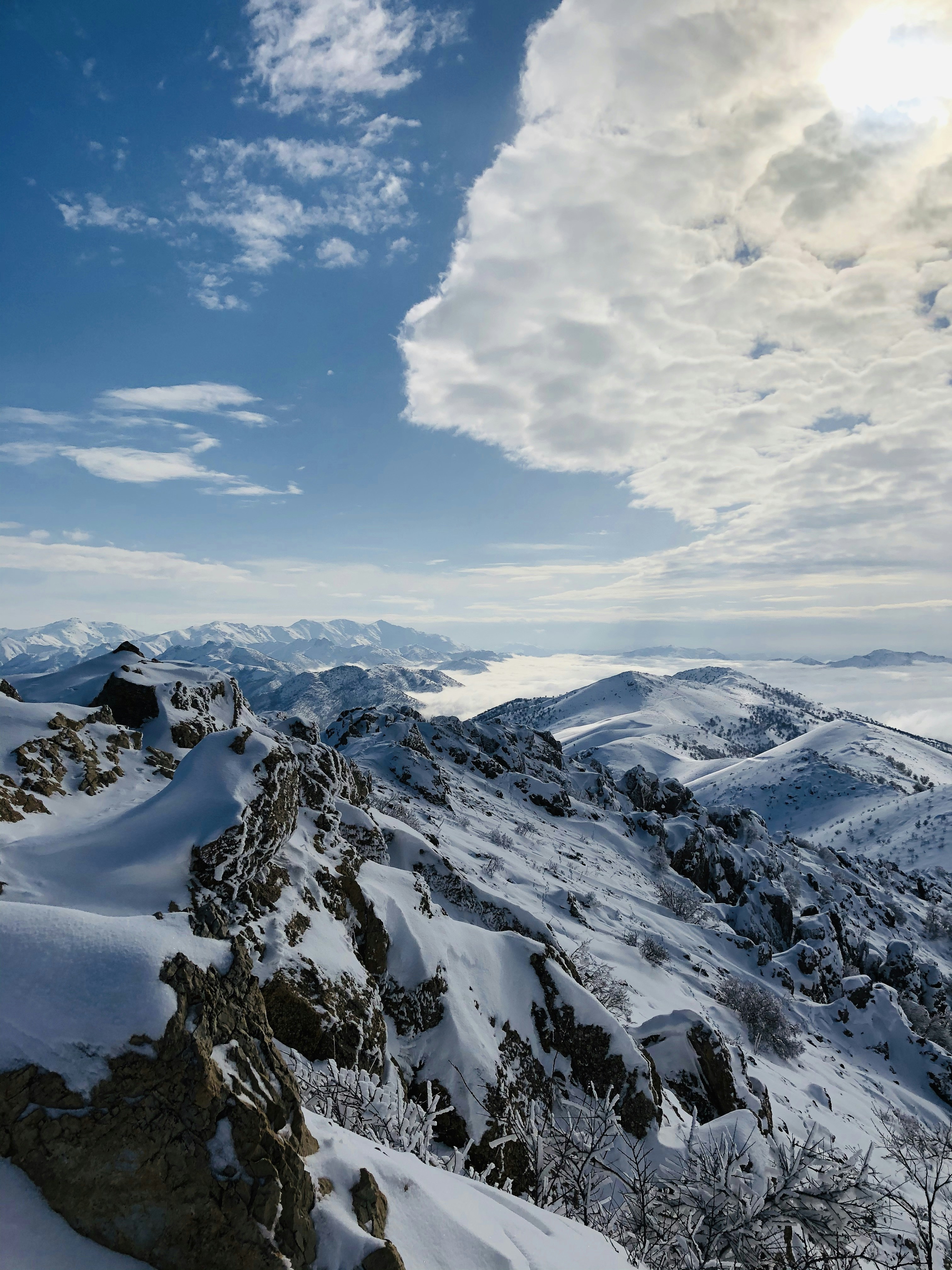 Photo by mohammad ebrahimi with Apple iPhone X