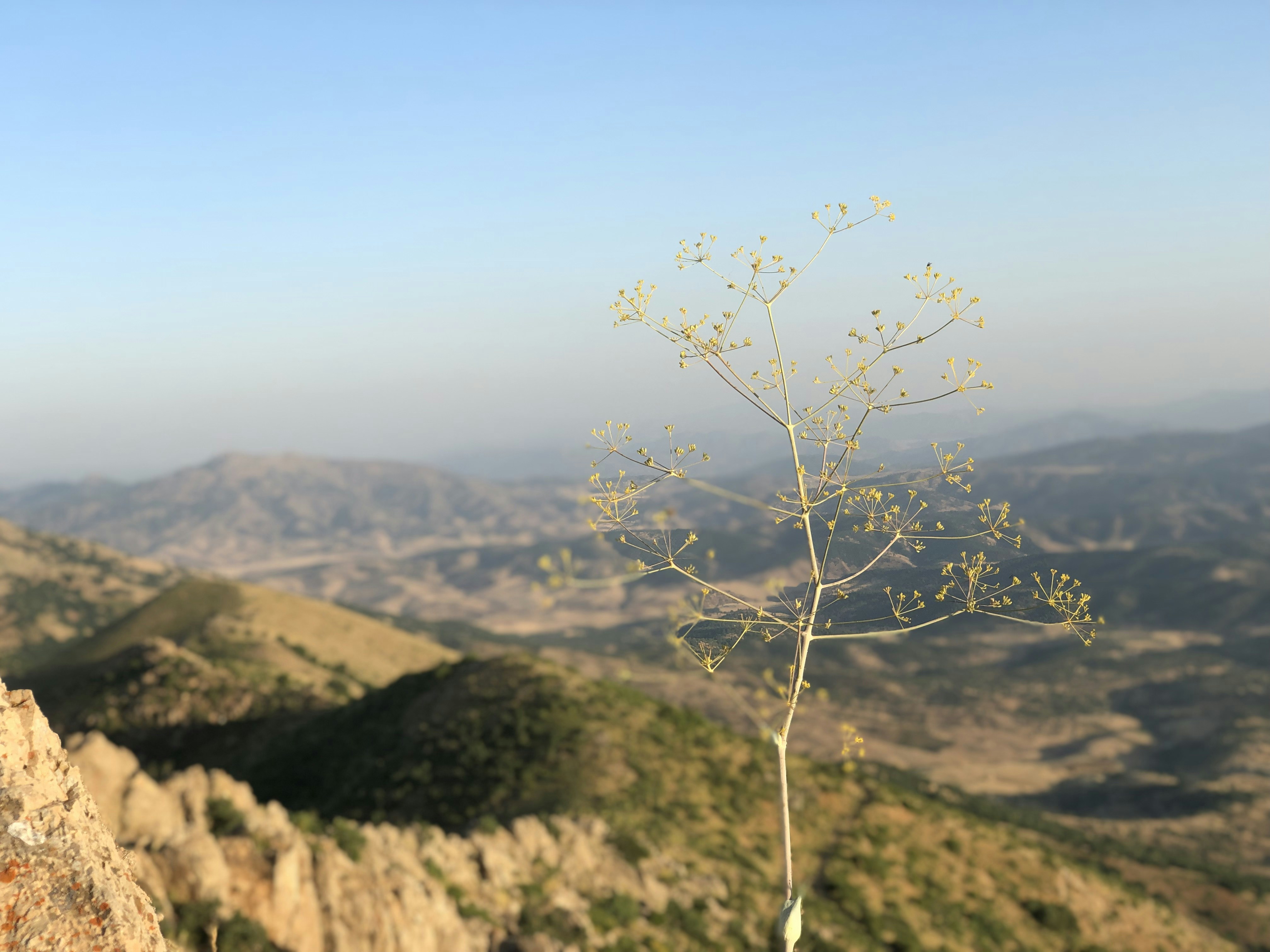 Photo by mohammad ebrahimi with Apple iPhone X