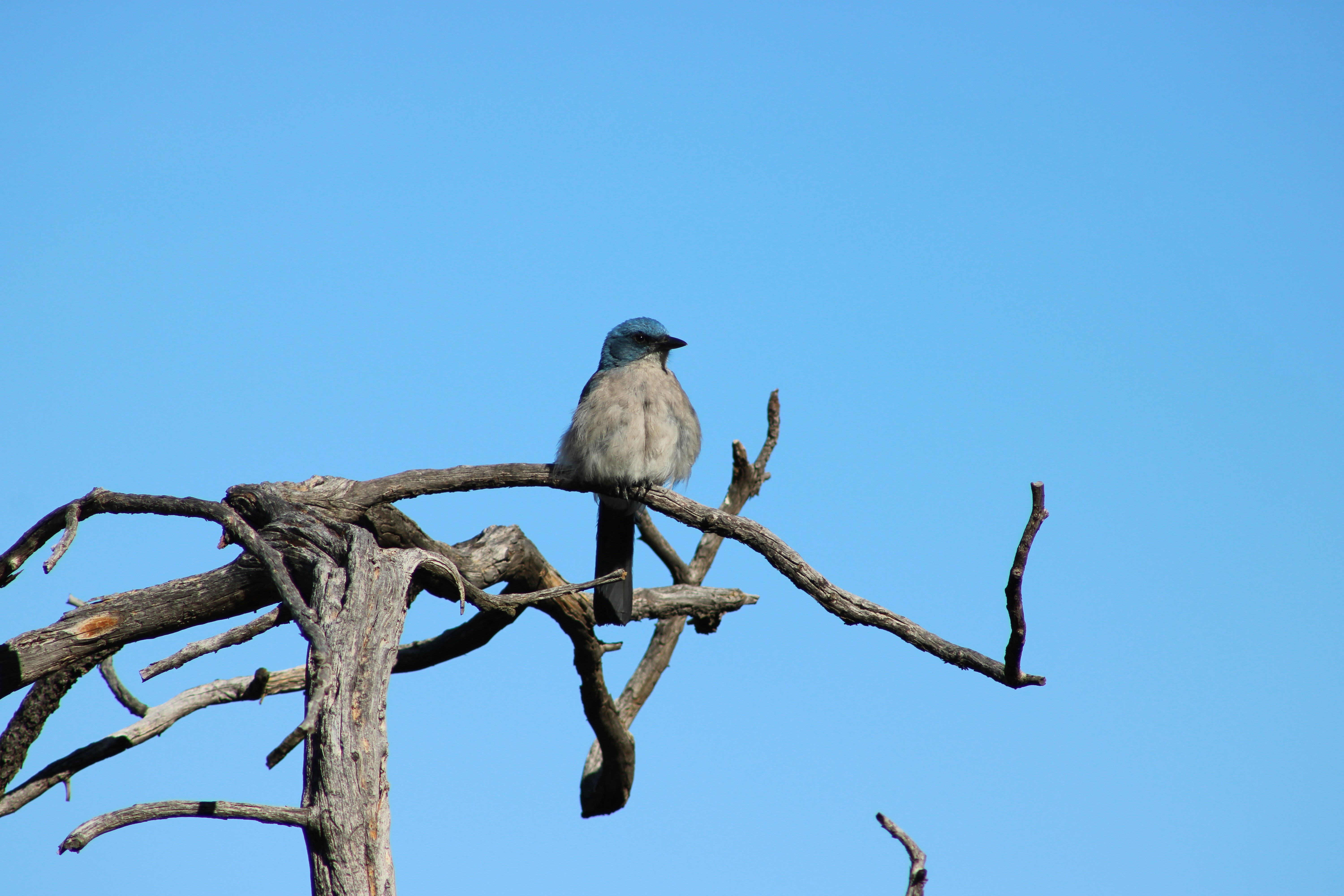 Photo by Lily Gullett with Canon EOS 2000D