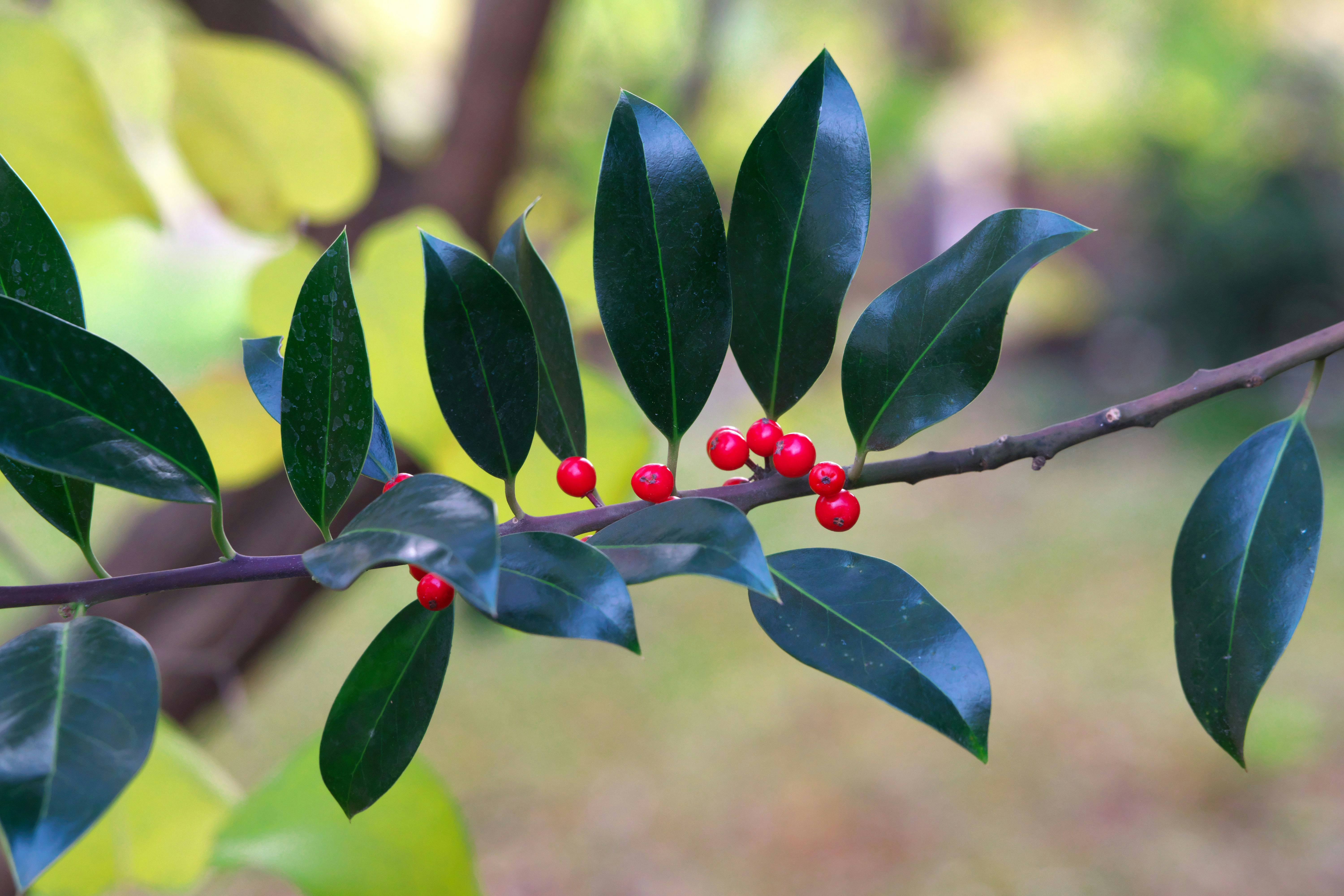 Photo by Tadeusz Zachwieja with Sony Alpha 7R V