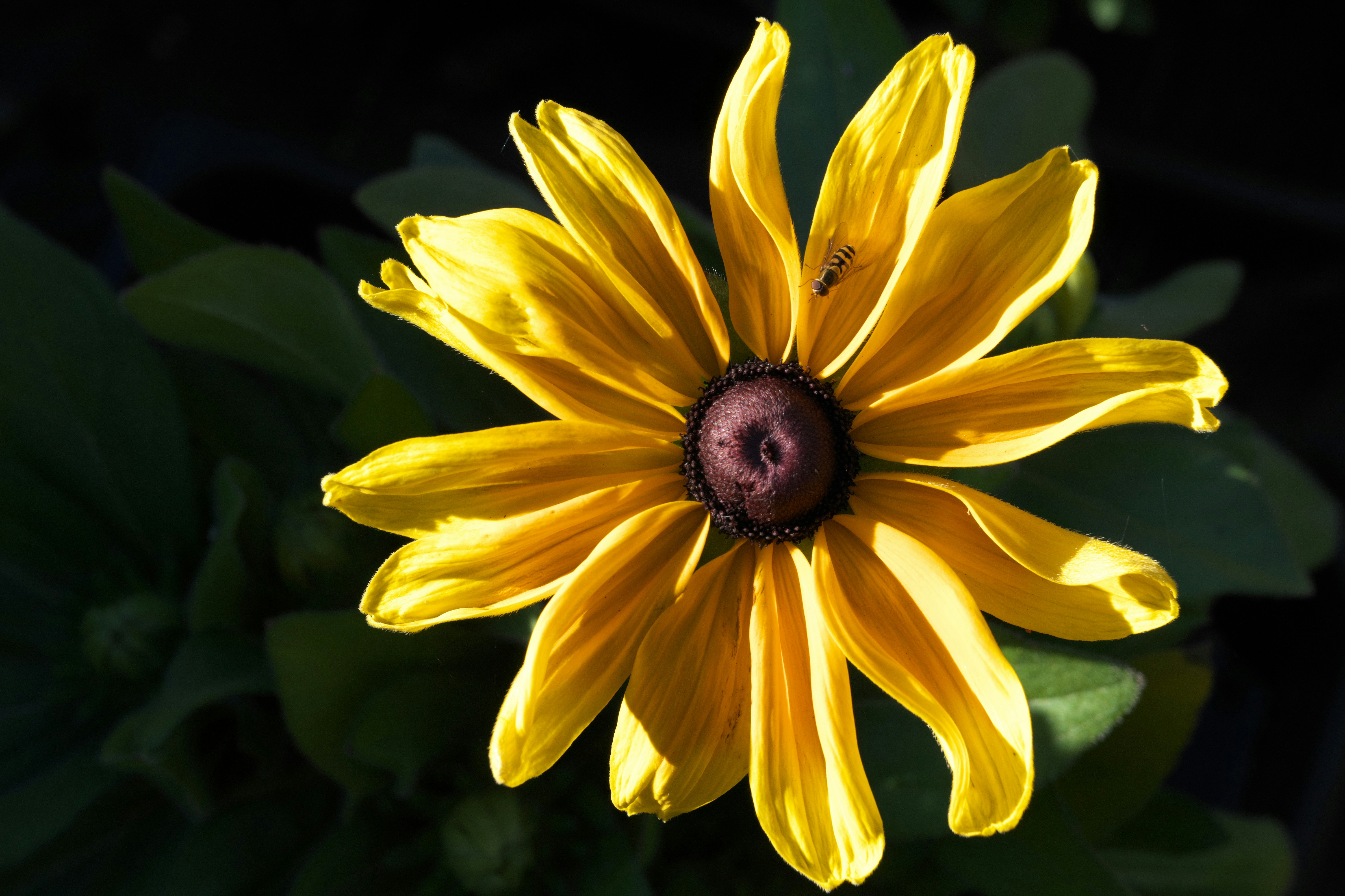 Photo by Tadeusz Zachwieja with Sony Alpha 7R V