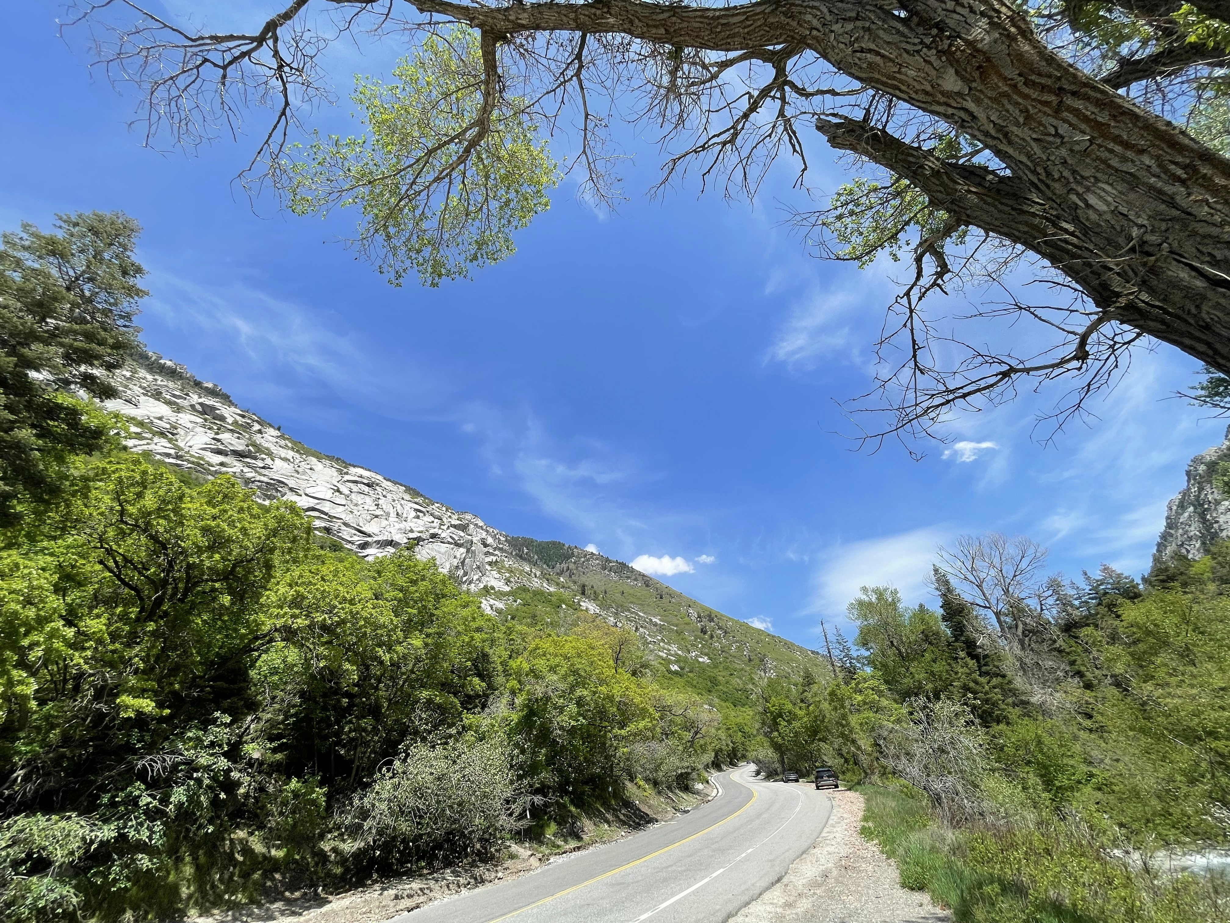 Photo by kent schaeffer with Apple iPhone 12