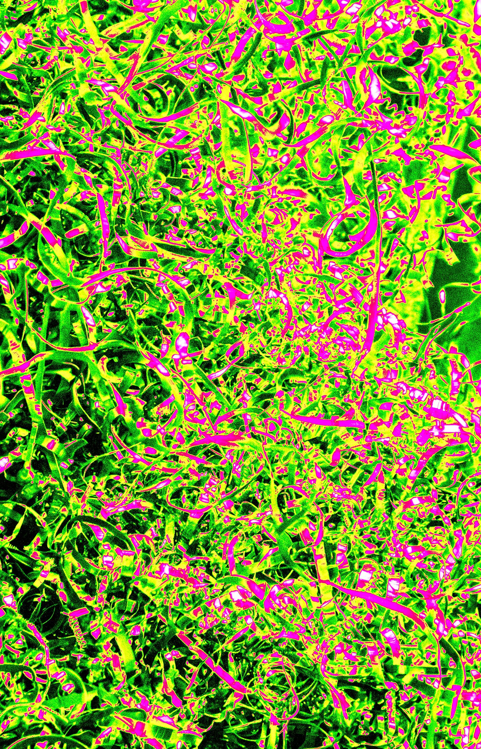 Green and Pink high-contrast, psychedelic chaotic, tangled texture composed of countless fine, swirling lines and filaments. Note: This is part of a series of experimental background texture images I have made using photos from my travels in Mumbai.