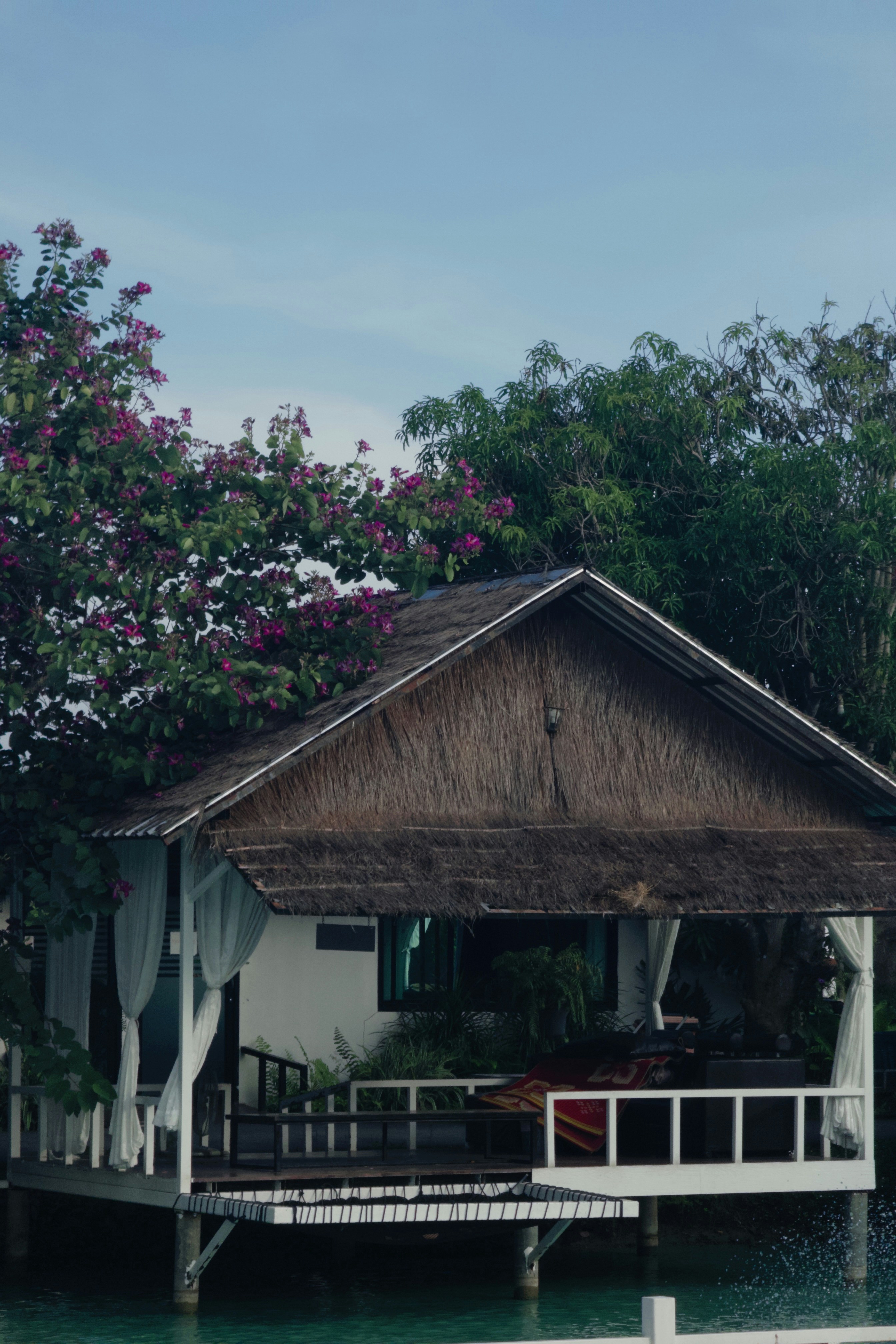 Photo by bee with Apple iPhone 15 Pro Max