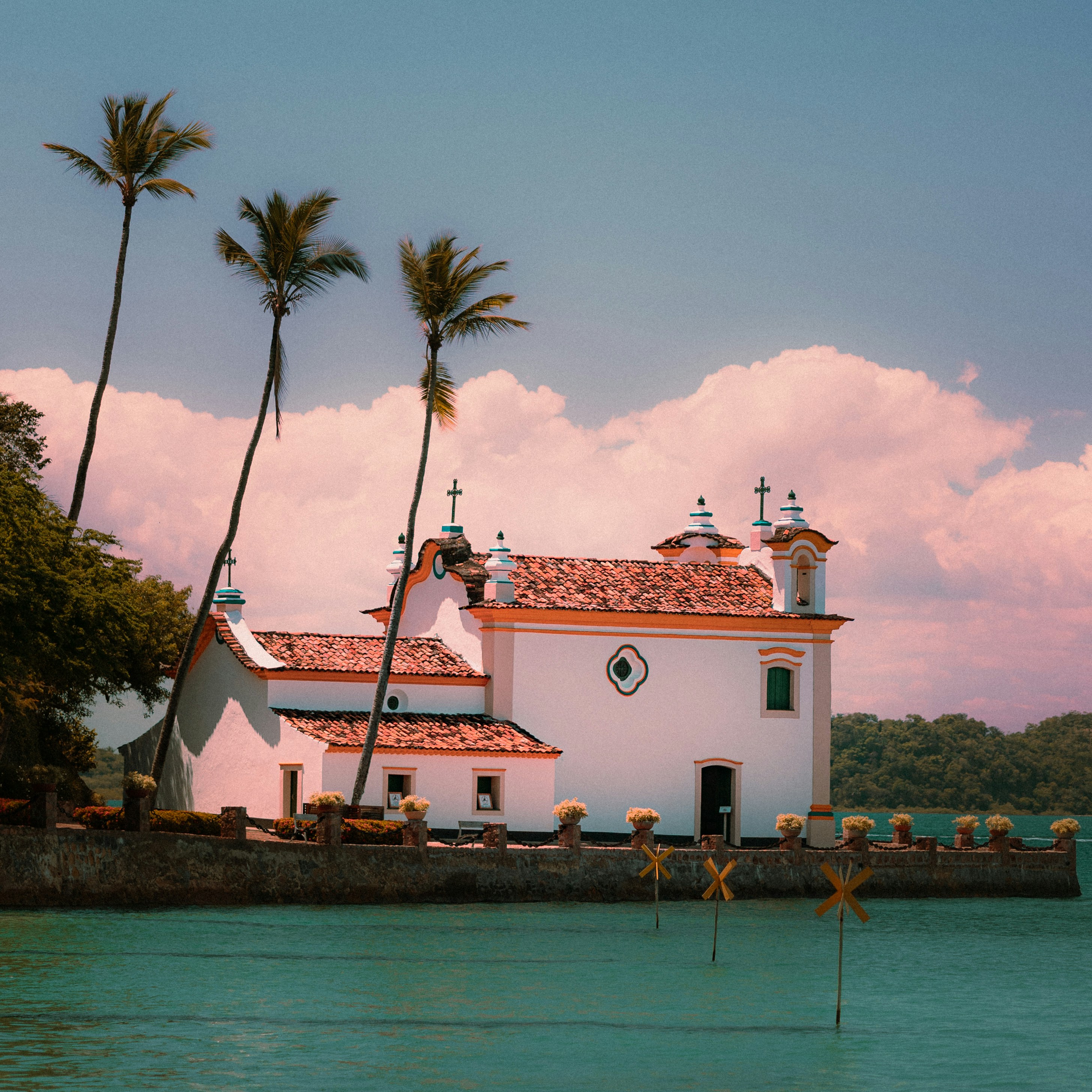 Photo by Alef Morais with Canon EOS R8