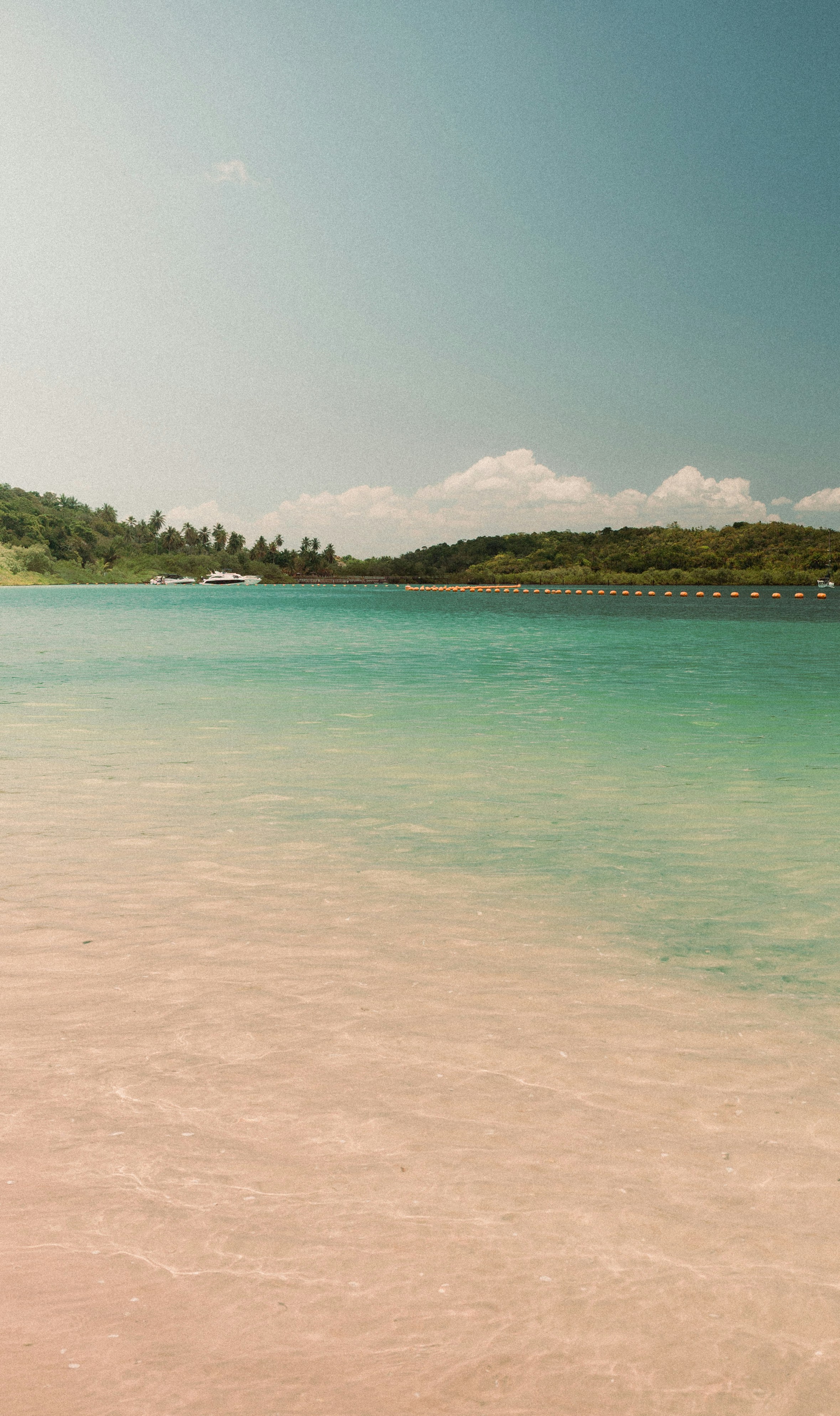 Emerald Shoreline Under a Quiet Horizon