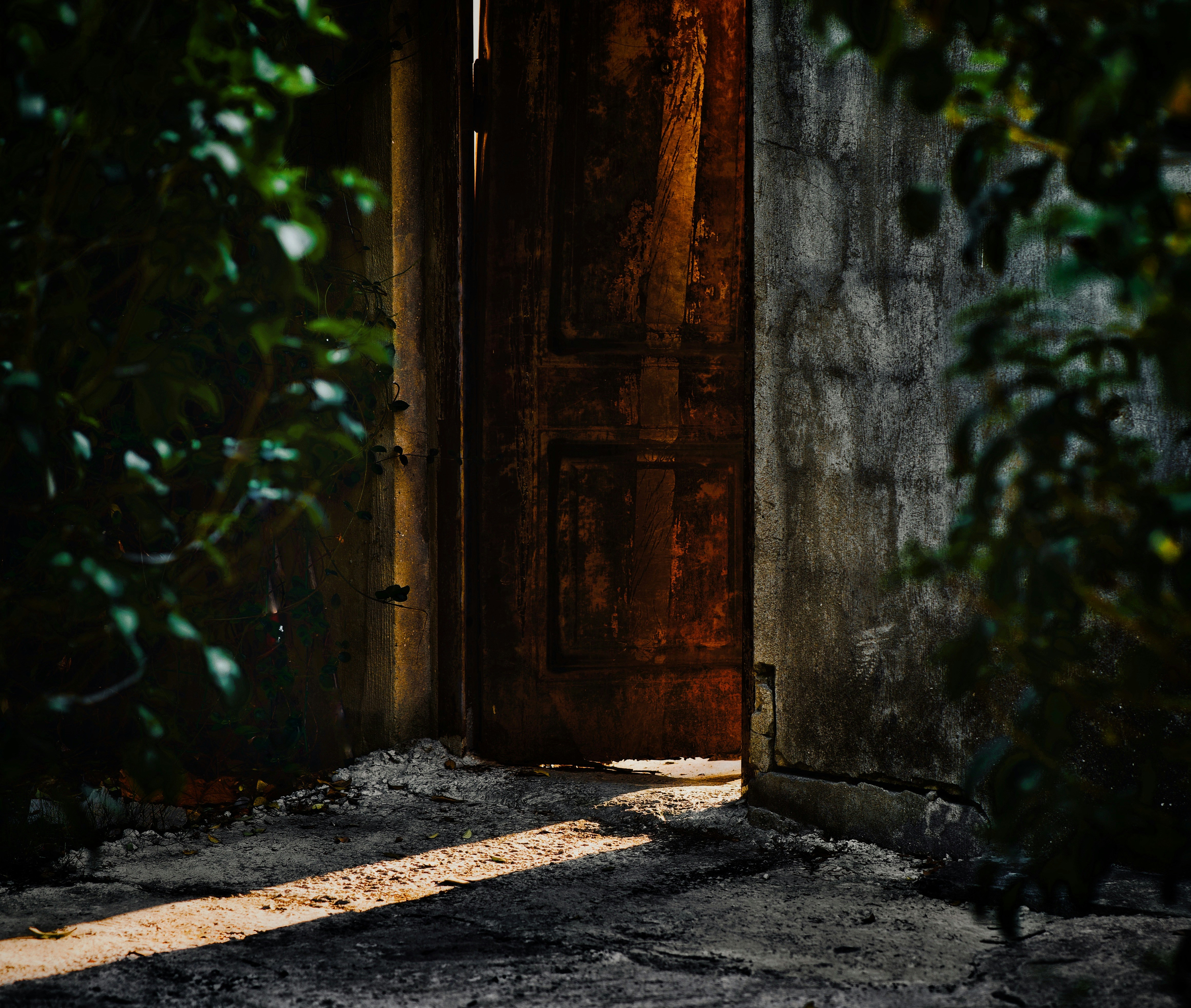 Photo by Di Chen with Sony Alpha 7C II