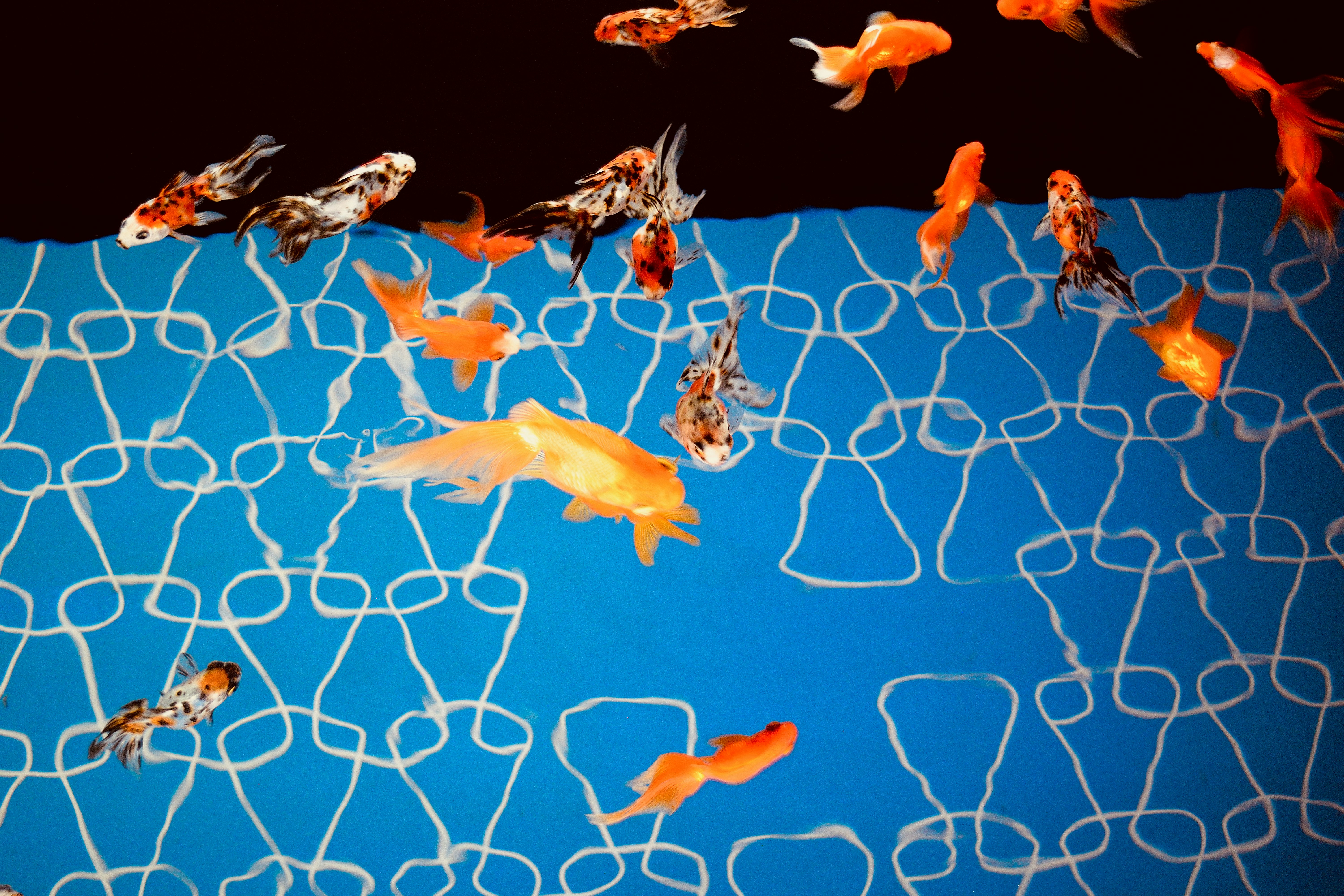 fancy jon (@fancyjon) | Comunidade de fotos da Unsplash