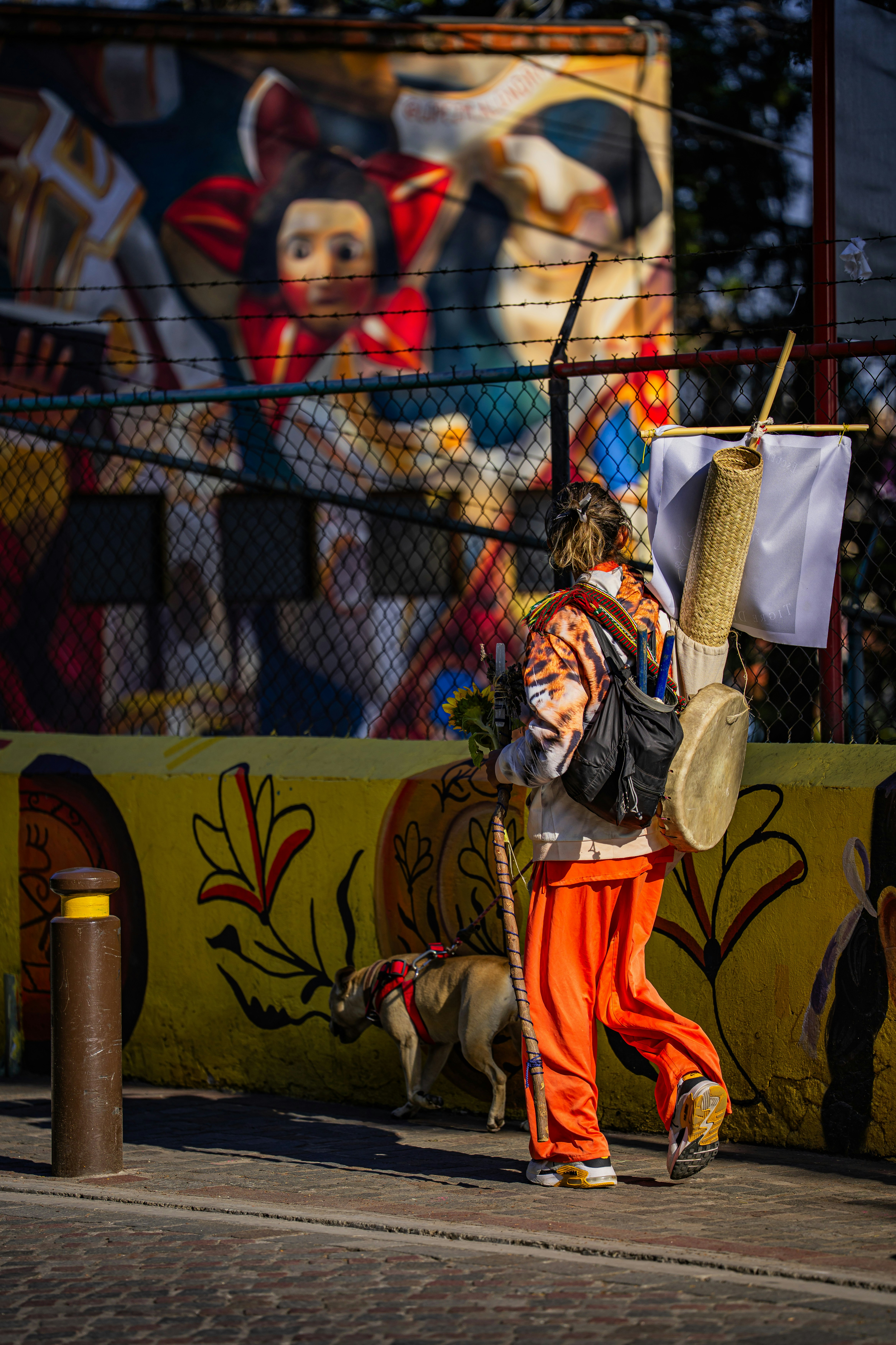 Orange-Clad Walker and Dog Before a Vivid Street Mural