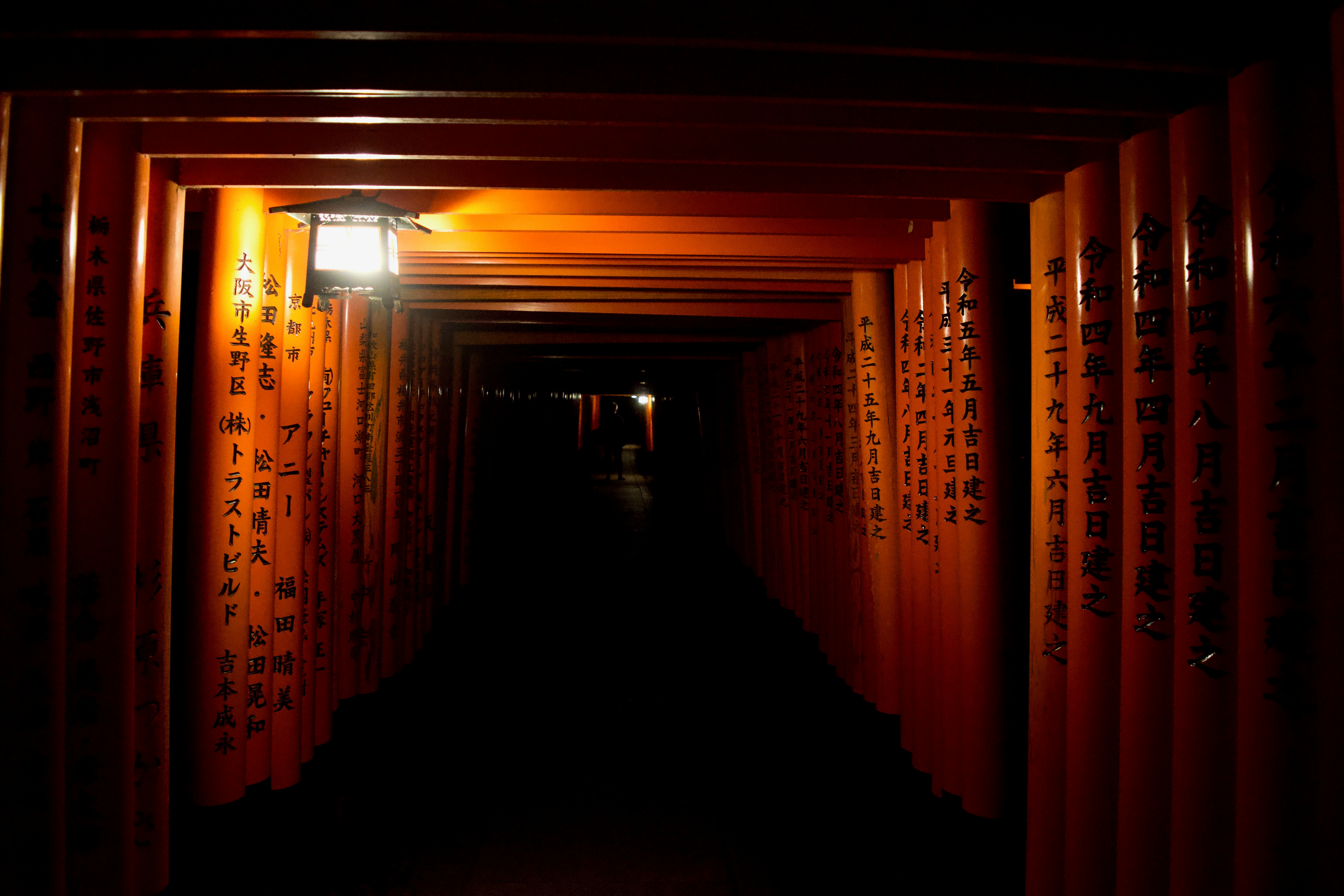 Lantern Between Vermilion Arches: Night Walk Through Inari's Gate Tunnel
