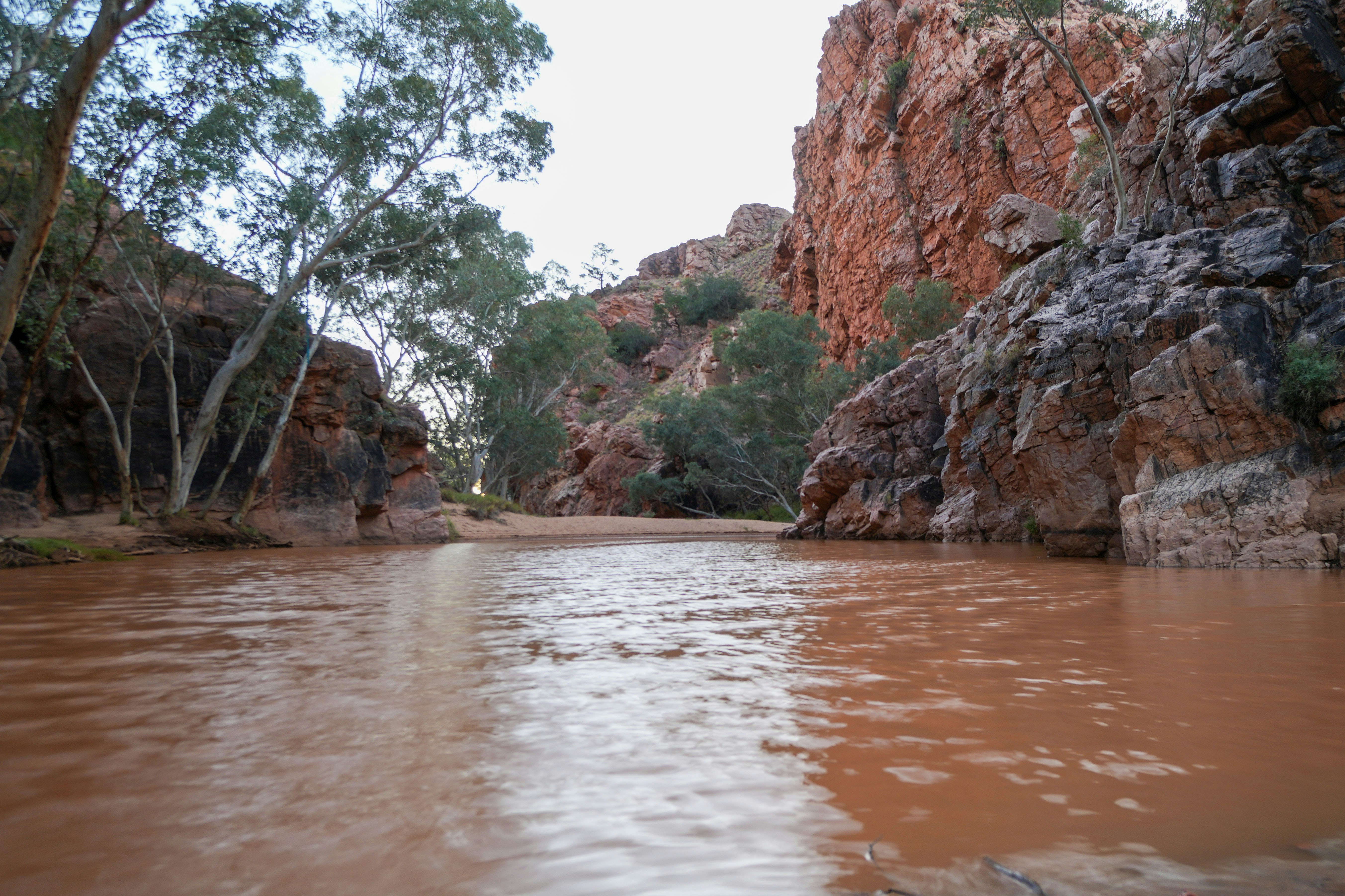 Photo by Wietse Jongsma with Sony Alpha 7R V