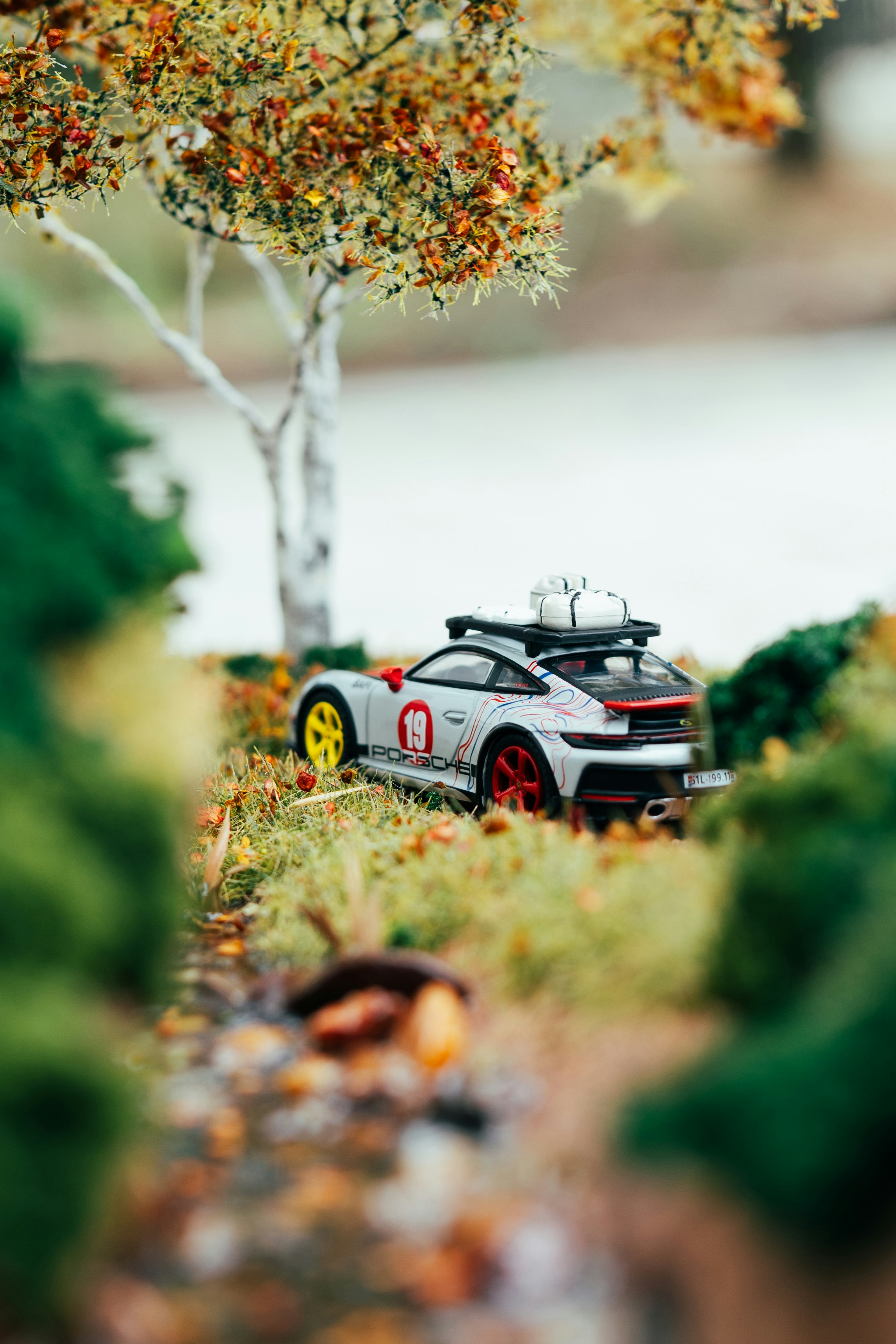 Photo by Đào Hiếu with Nikon Z8