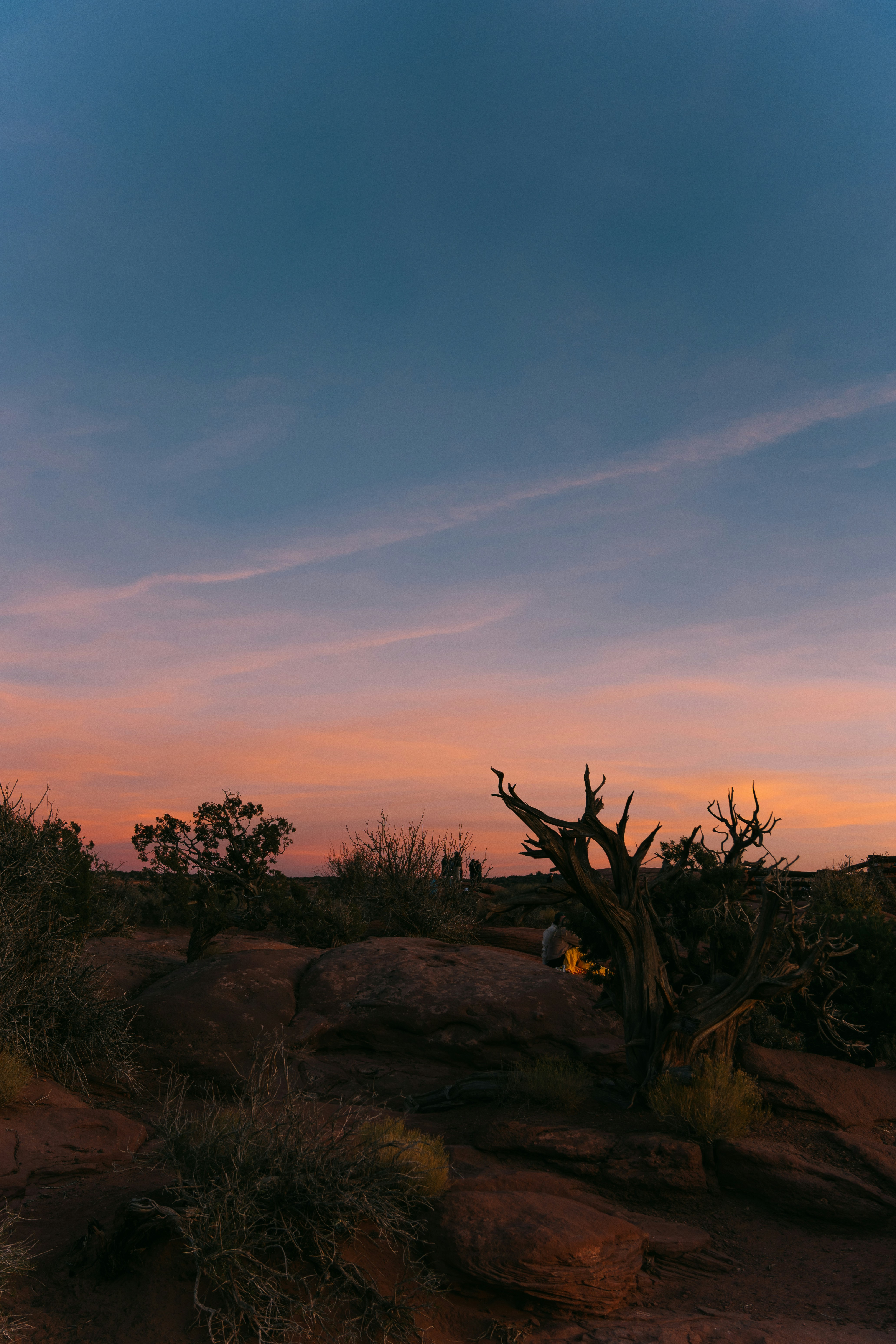 Photo by Samuel Quek with Sony Alpha 6700