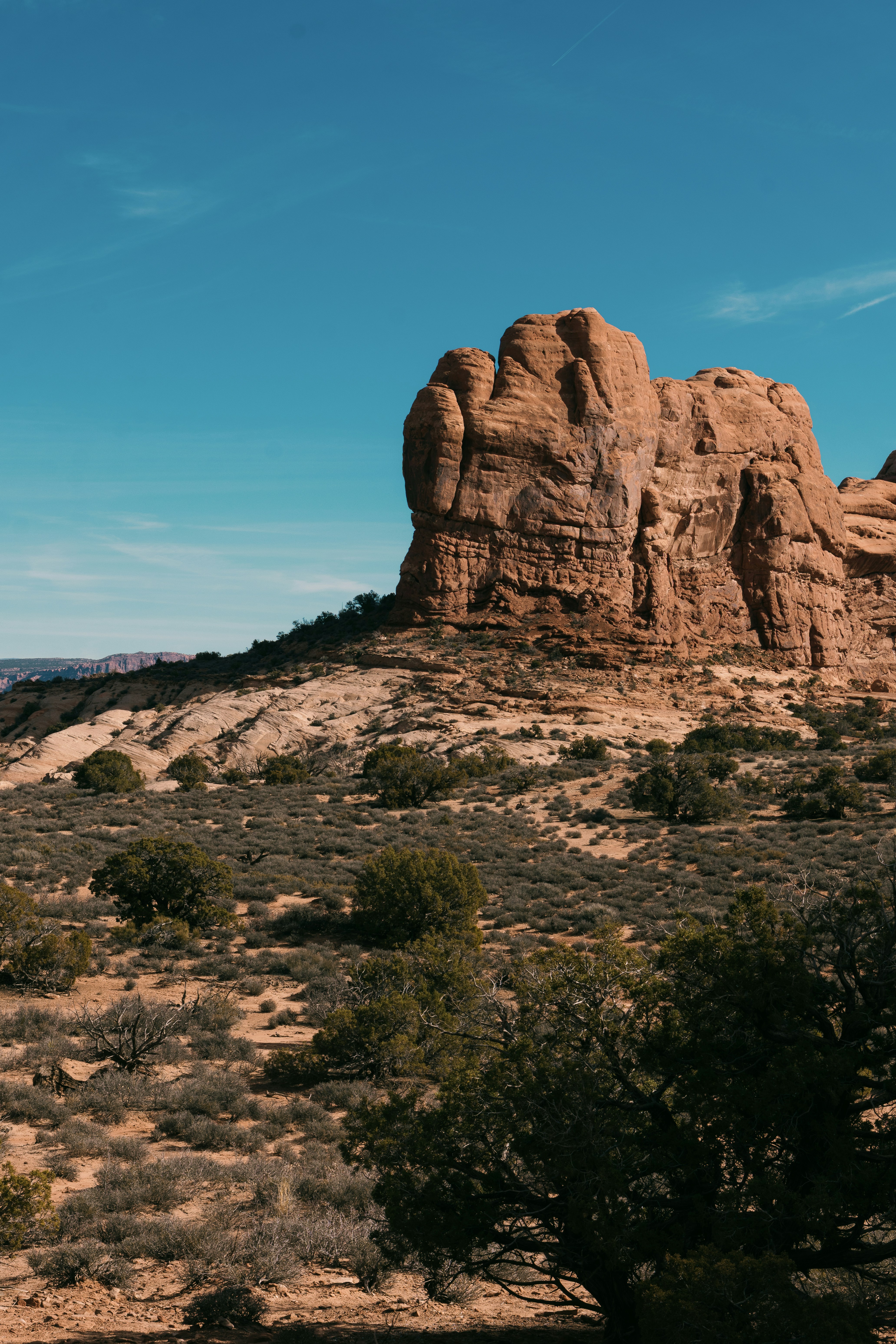 Photo by Samuel Quek with Sony Alpha 6700