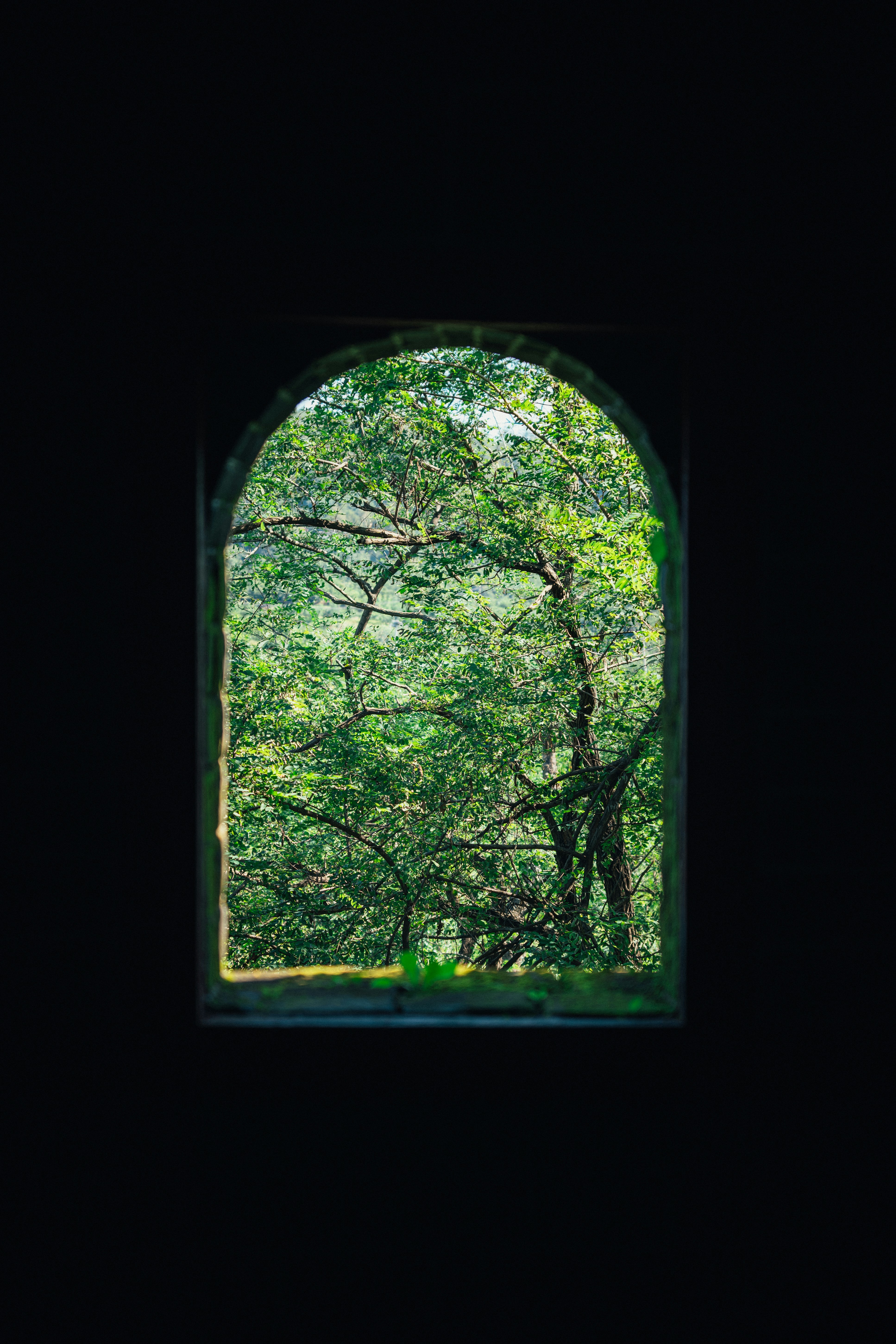 Archway Window to Green Canopy: Light Framing a Quiet Interior