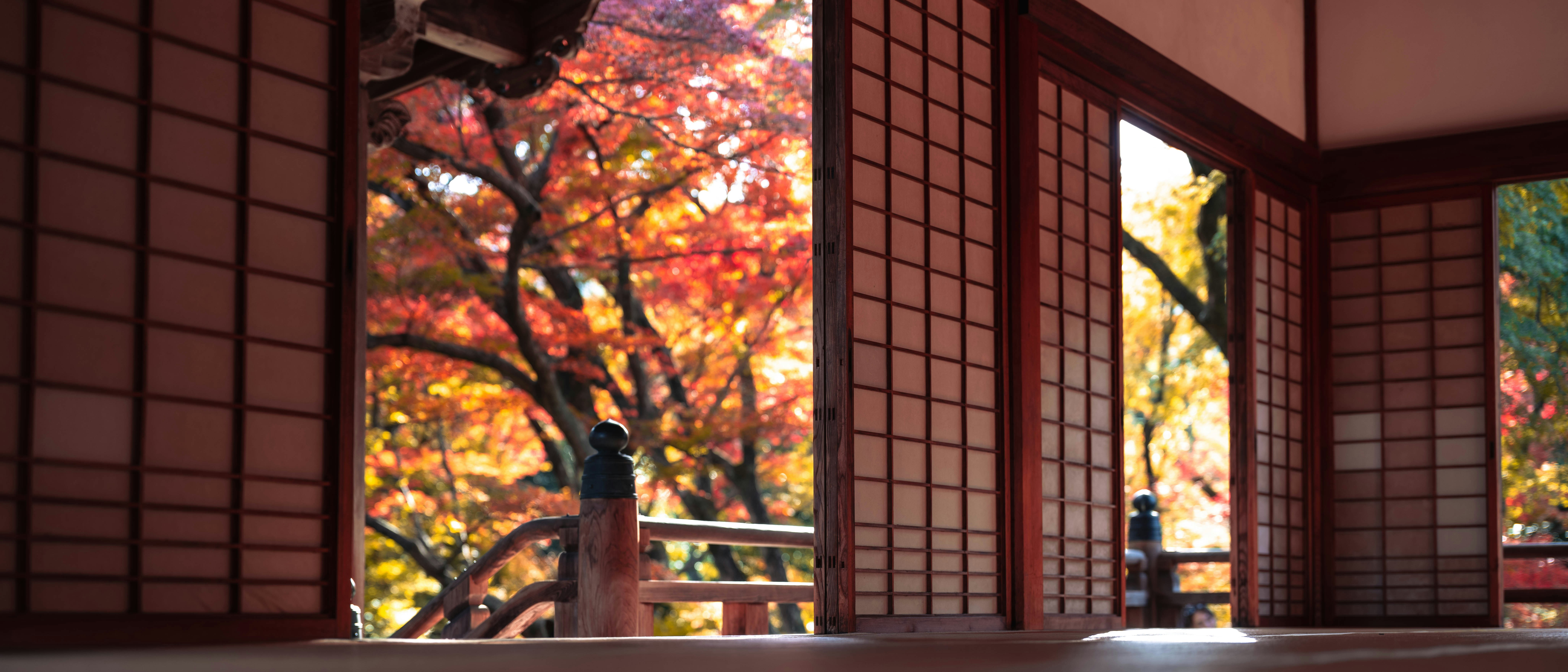 Photo by あま あわれ with Fujifilm GFX50S II