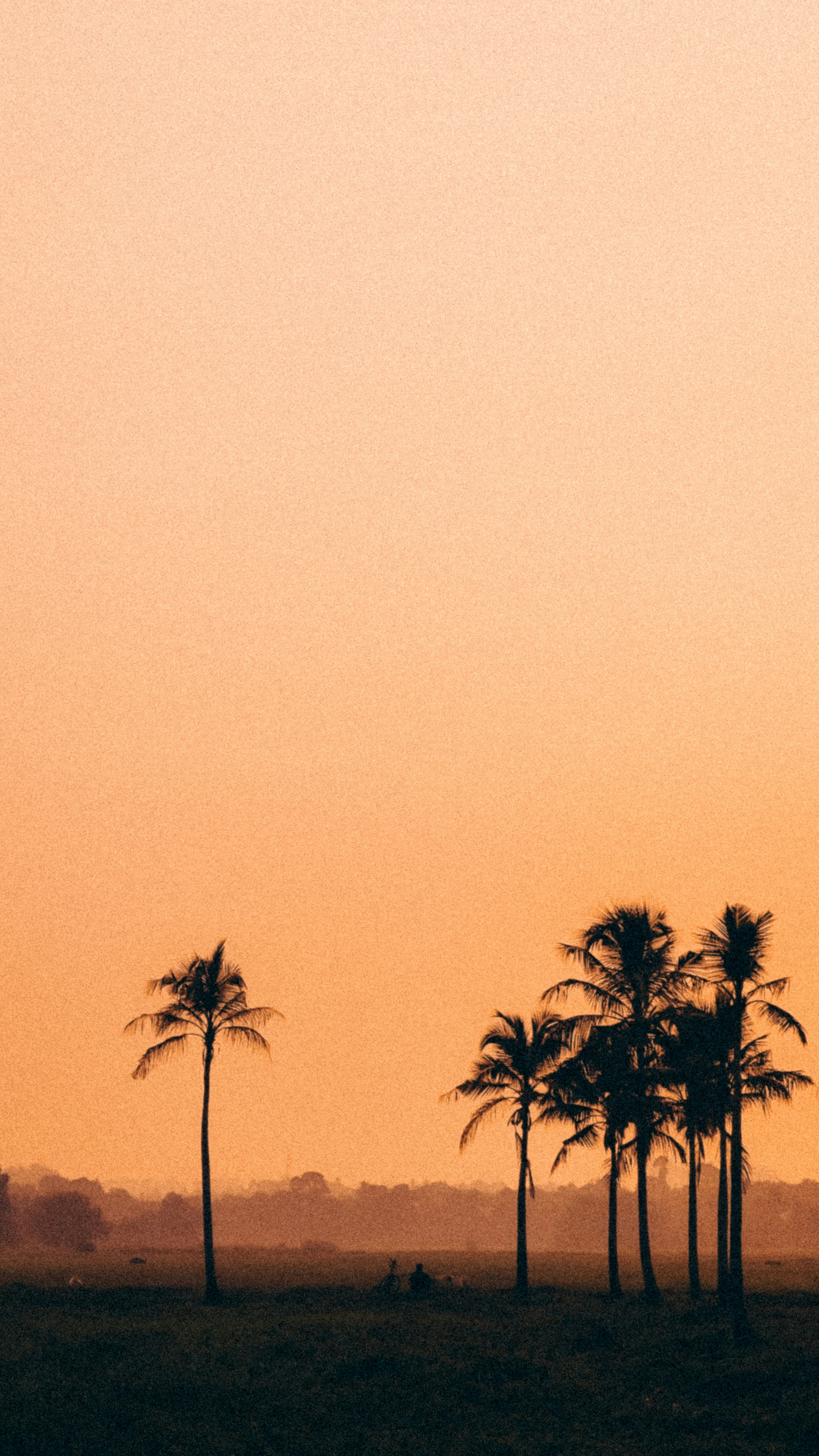 A serene, minimalist landscape featuring the silhouettes of palm trees against a soft, gradient orange sunset sky. A perfect representation of tropical calm and summer evenings.