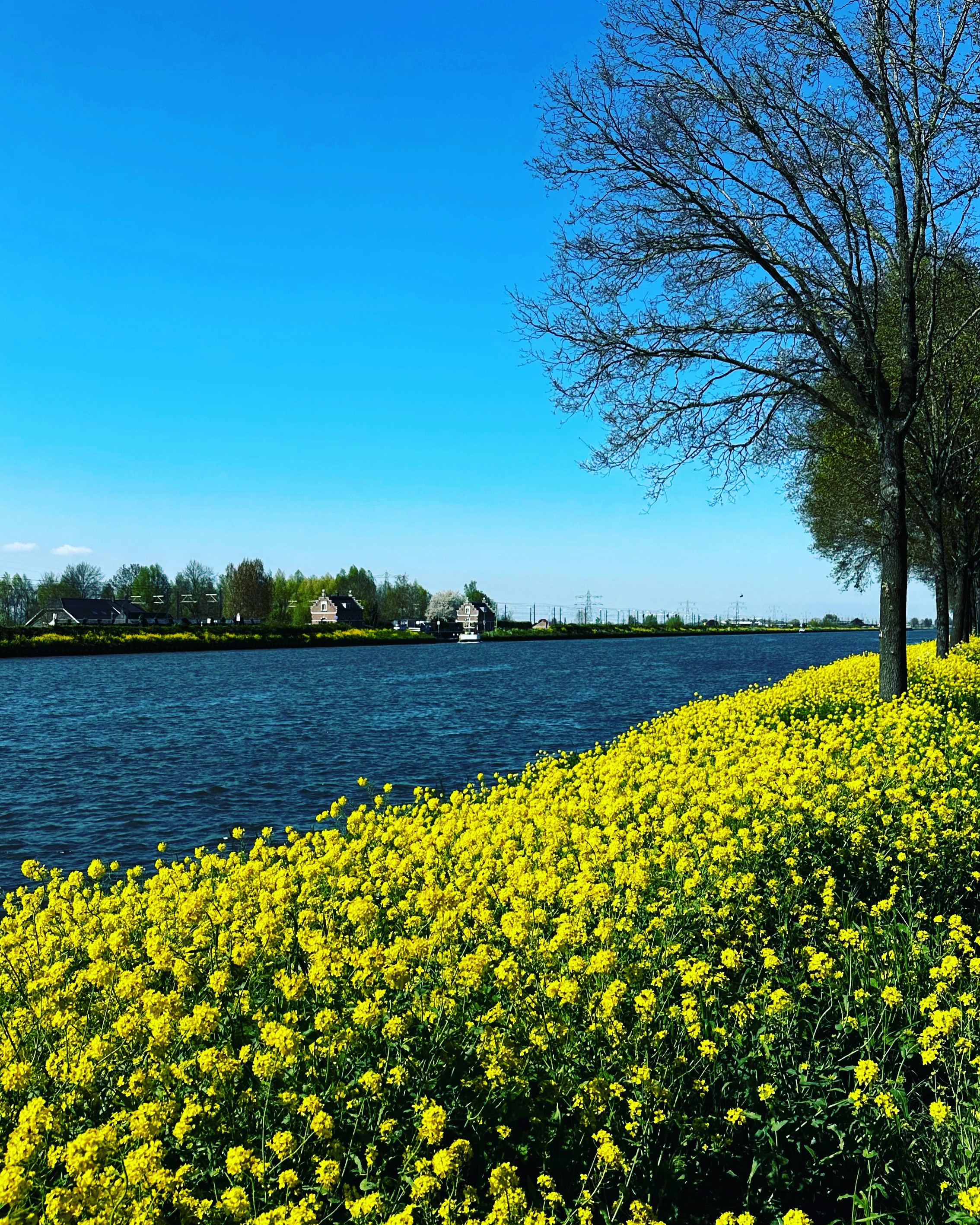 Photo by PJ Soans with Apple iPhone 14 Pro Max