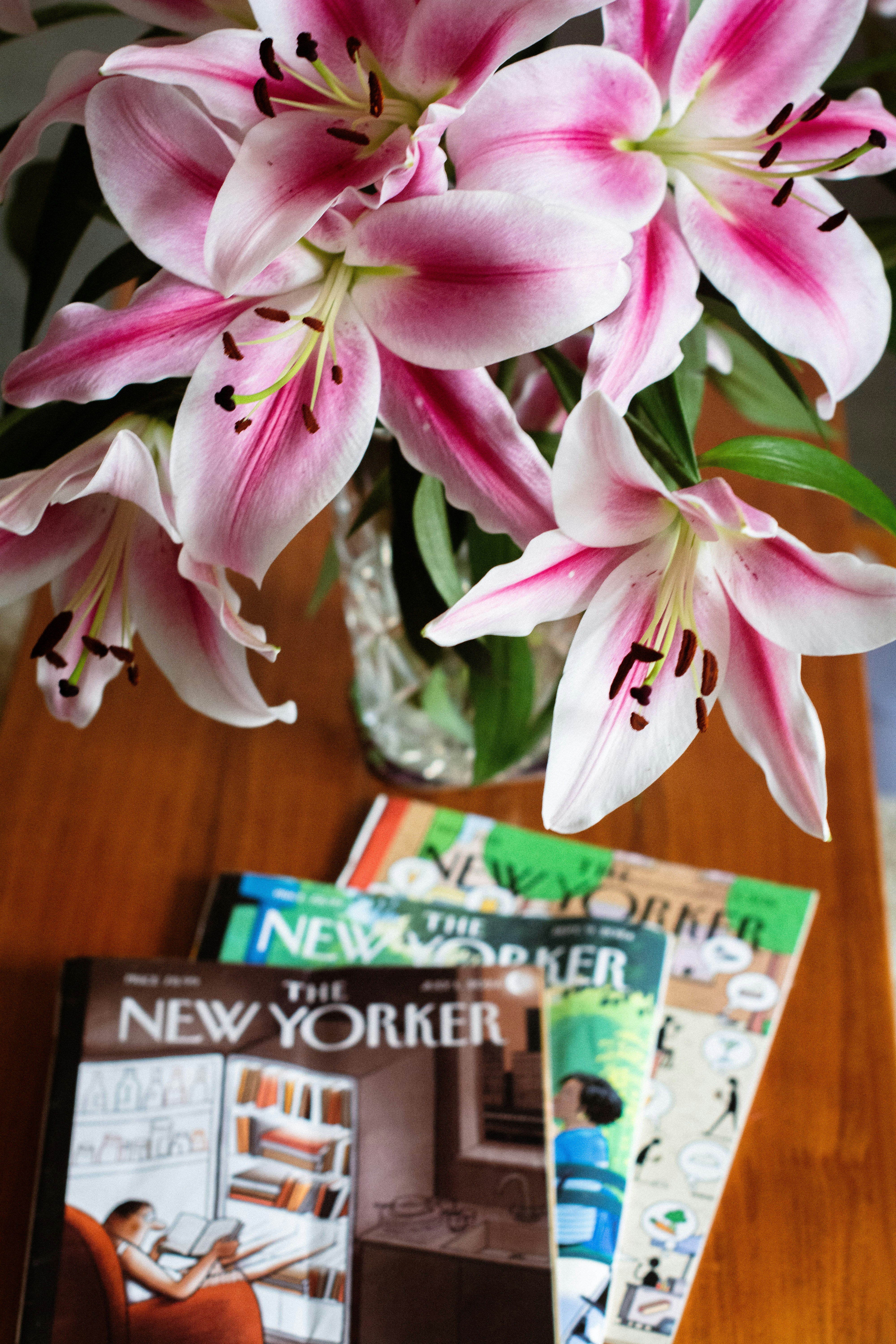 Blush Lilies Over a Quiet Stack of Magazines