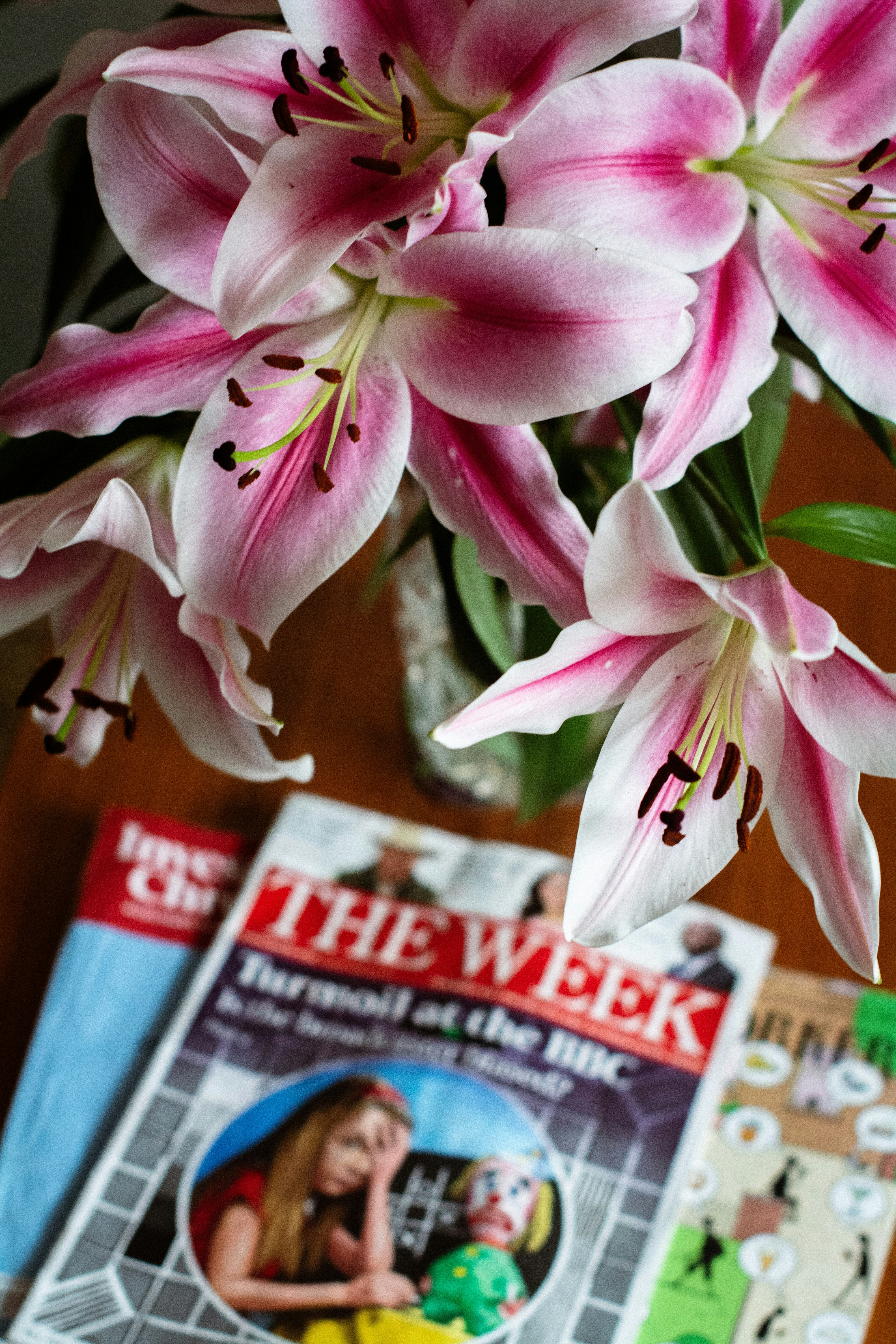 Petals Over Print: A Close-Up of Pink Lilies Framing The Week