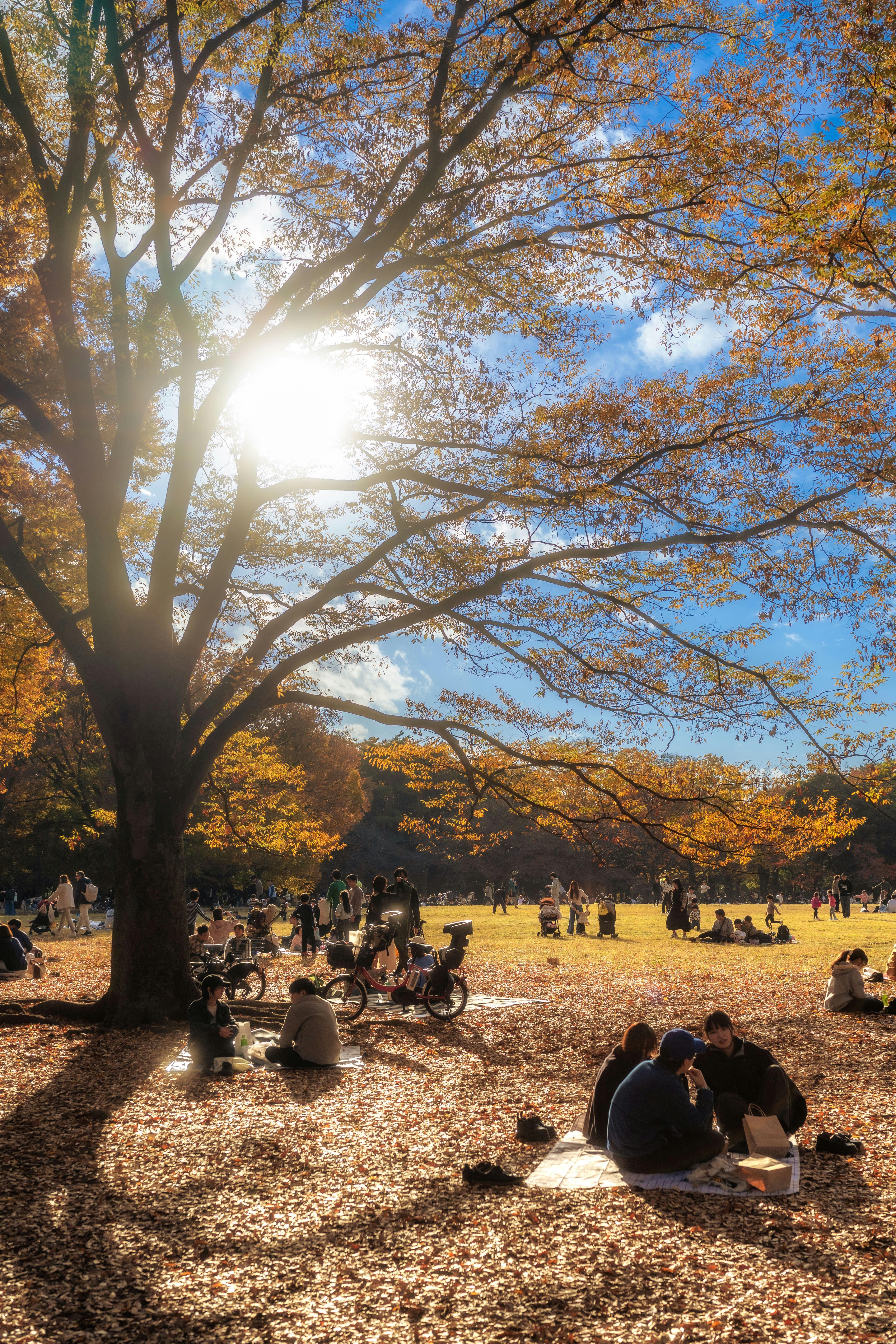 Photo by Zhaoli JIN with Sony Alpha 7C II