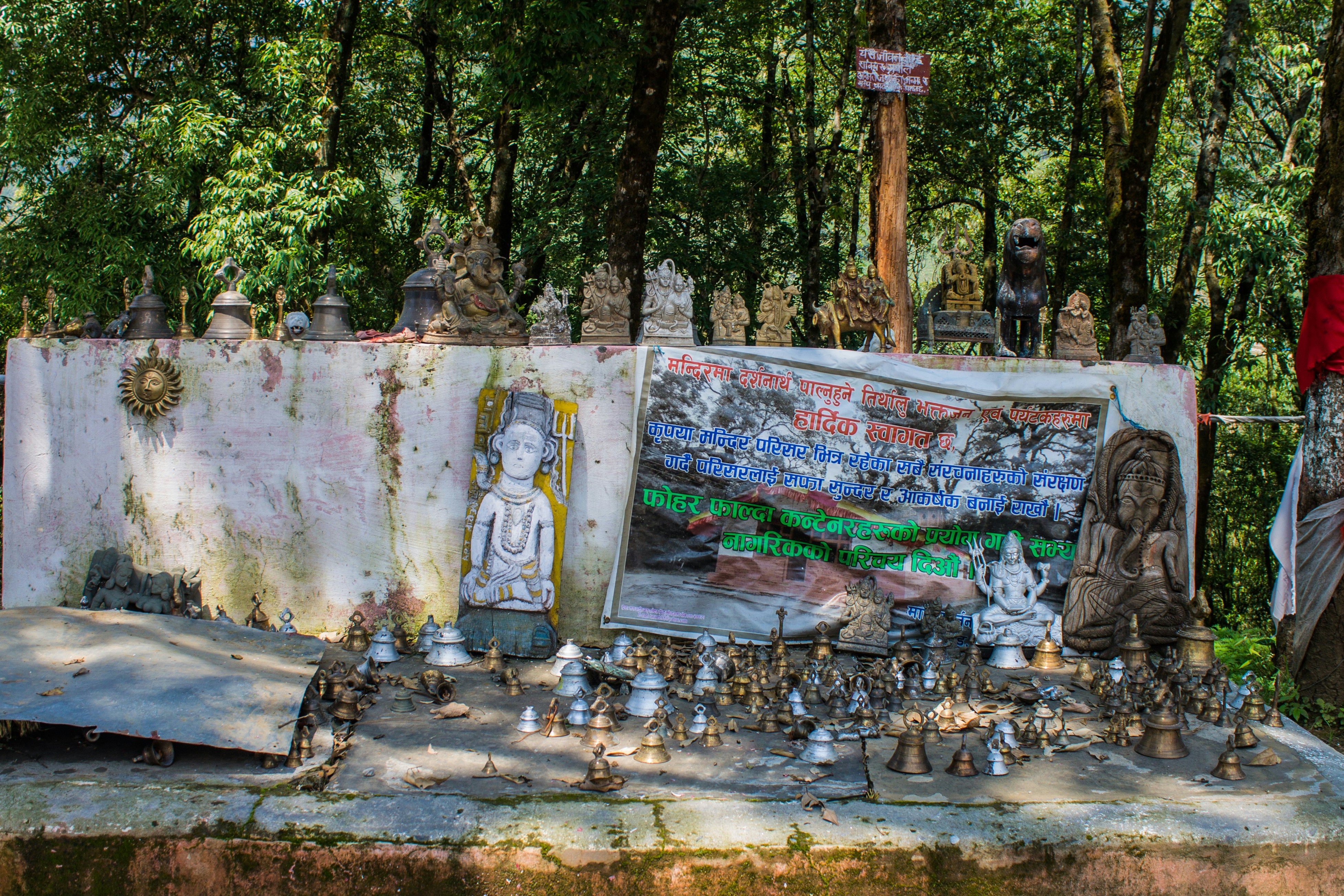 Whispering Bells at a Forest Shrine: Buddha Wall in Dappled Light