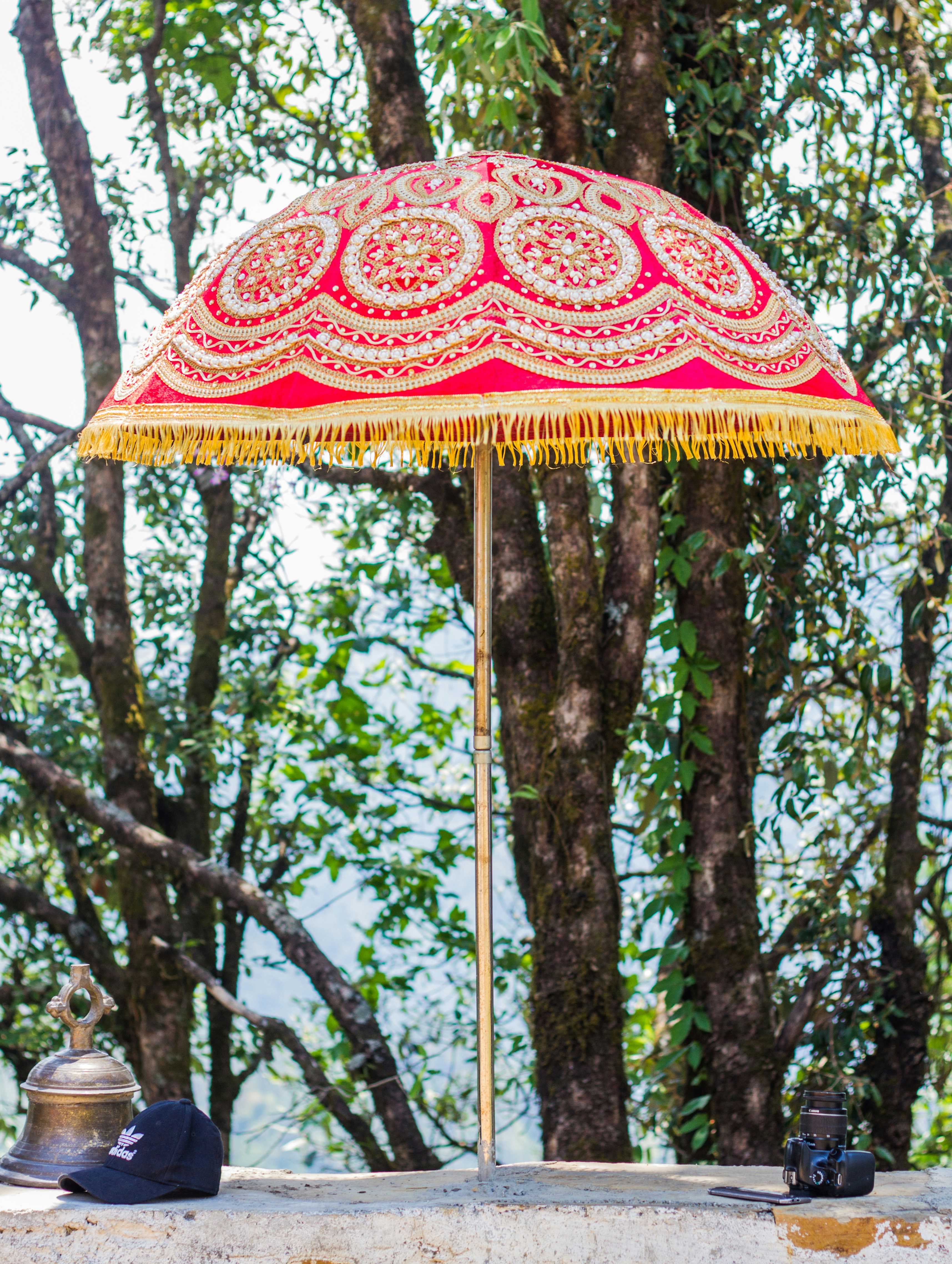 Crimson Ornate Umbrella in a Sunlit Forest