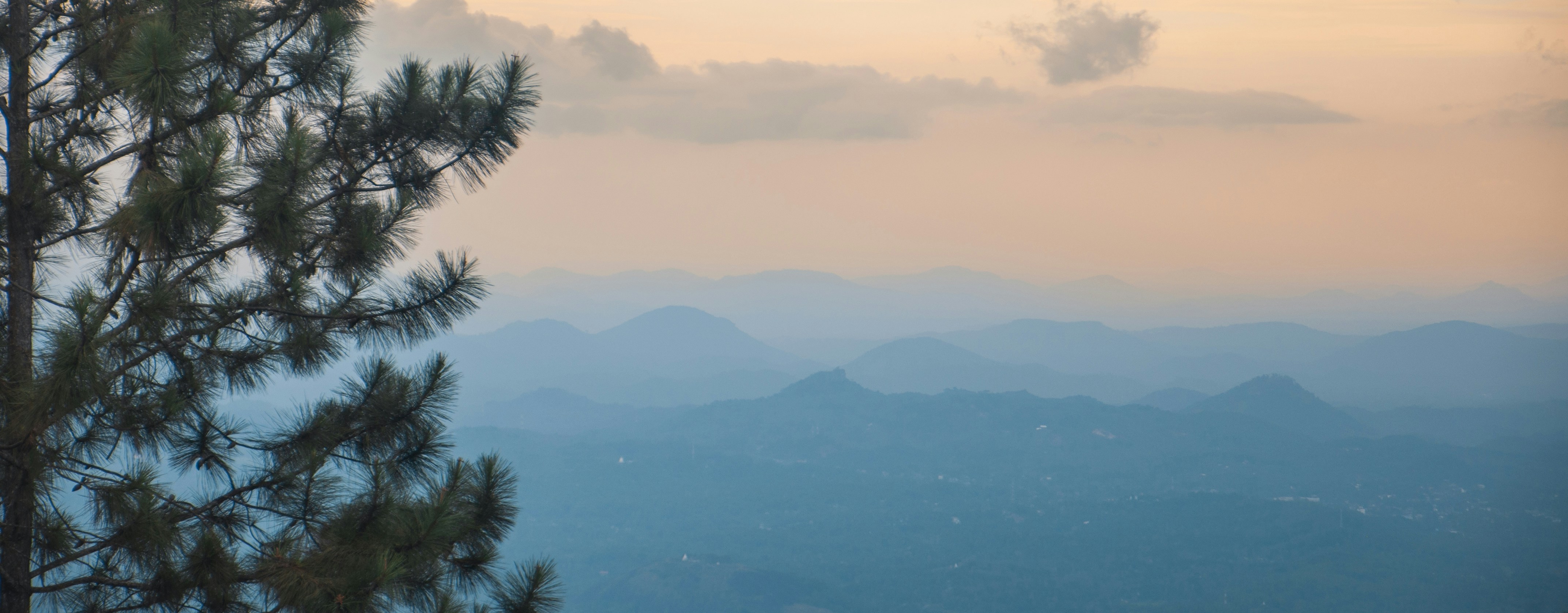 A serene landscape featuring layers of misty blue mountains fading into the distance under a soft pastel sunset sky, framed by a pine tree branch in the foreground.