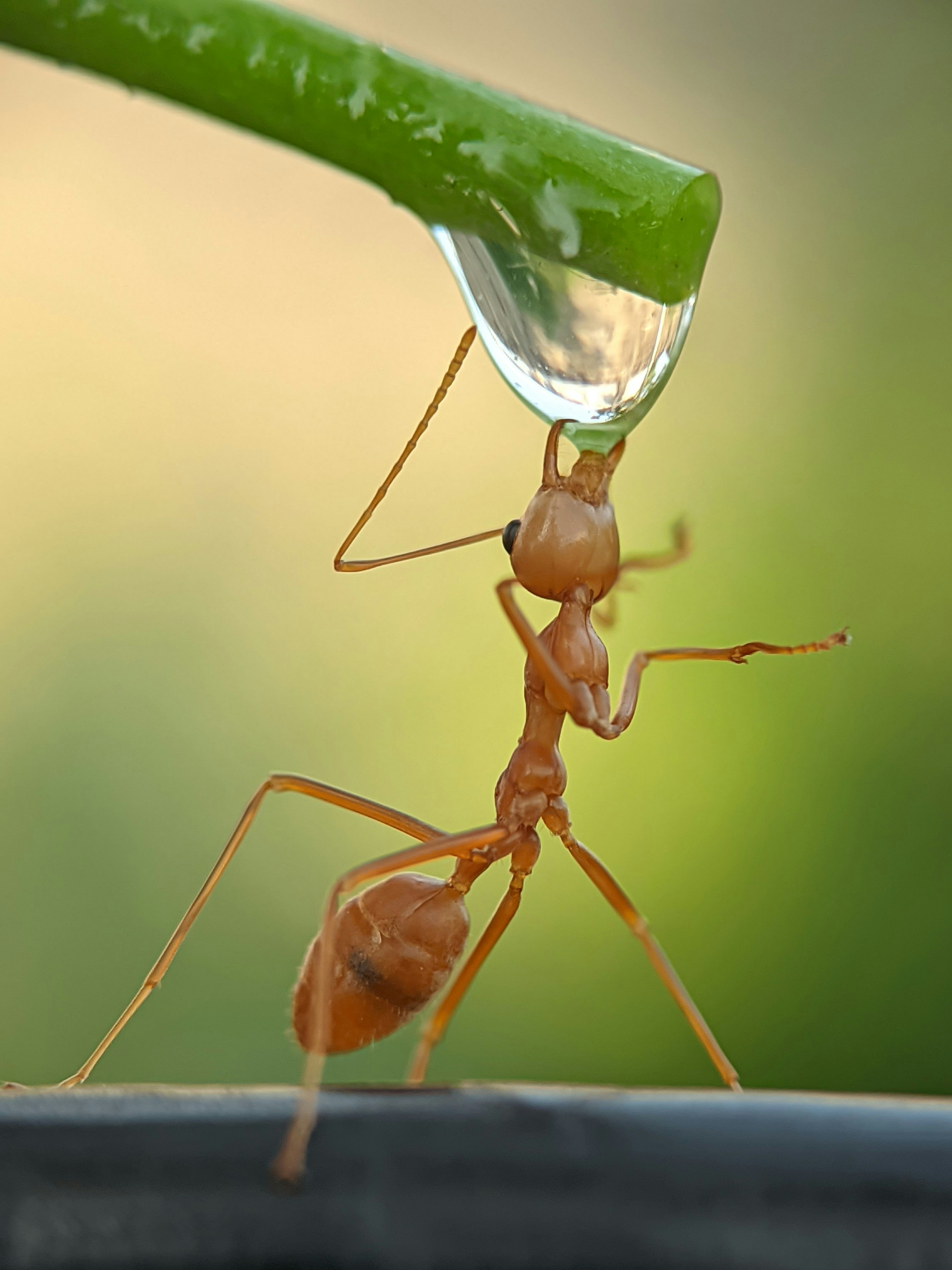 Sample photo from OnePlus 13R