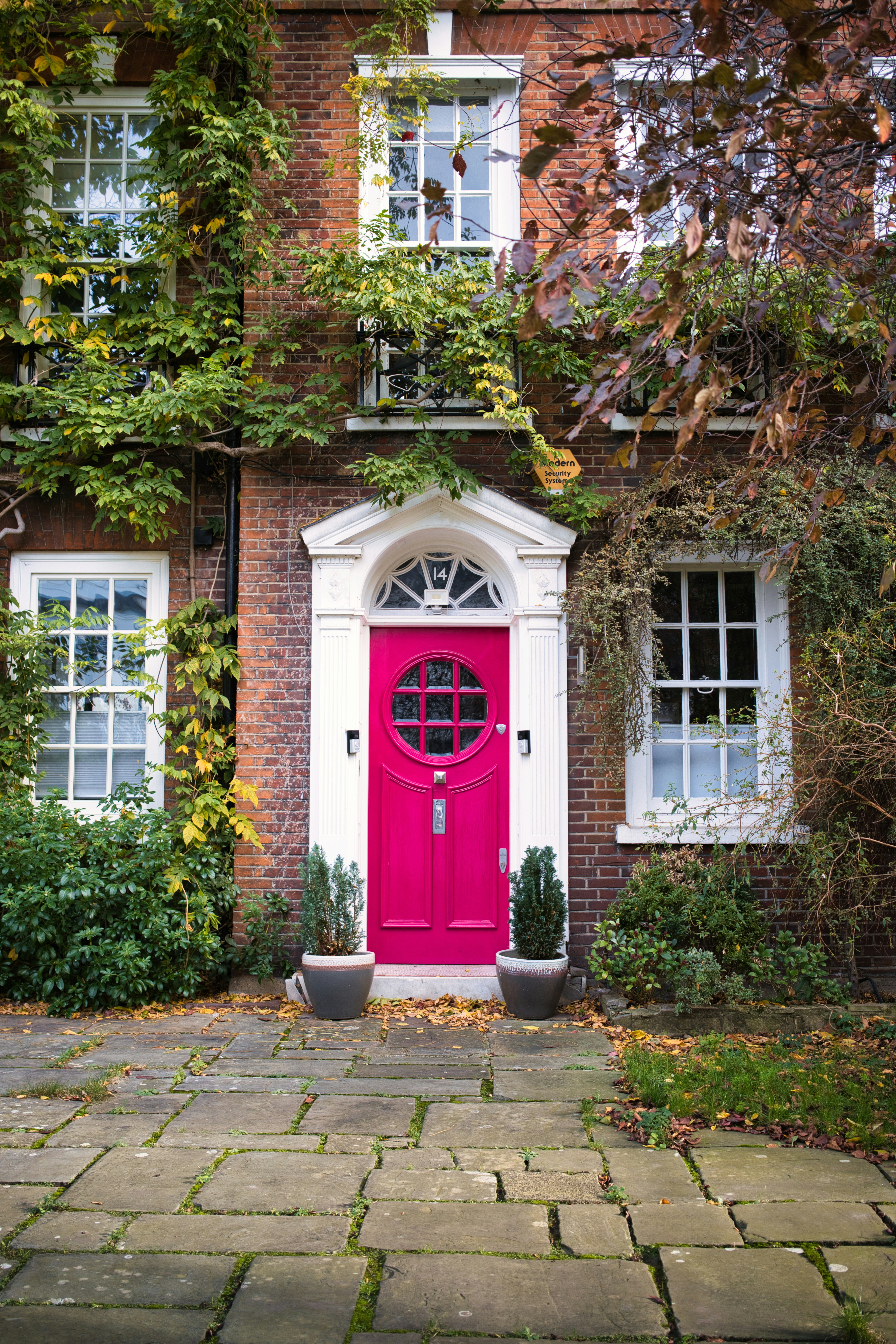 Magenta Front Door Anchors Ivy-Clad Brick Townhouse