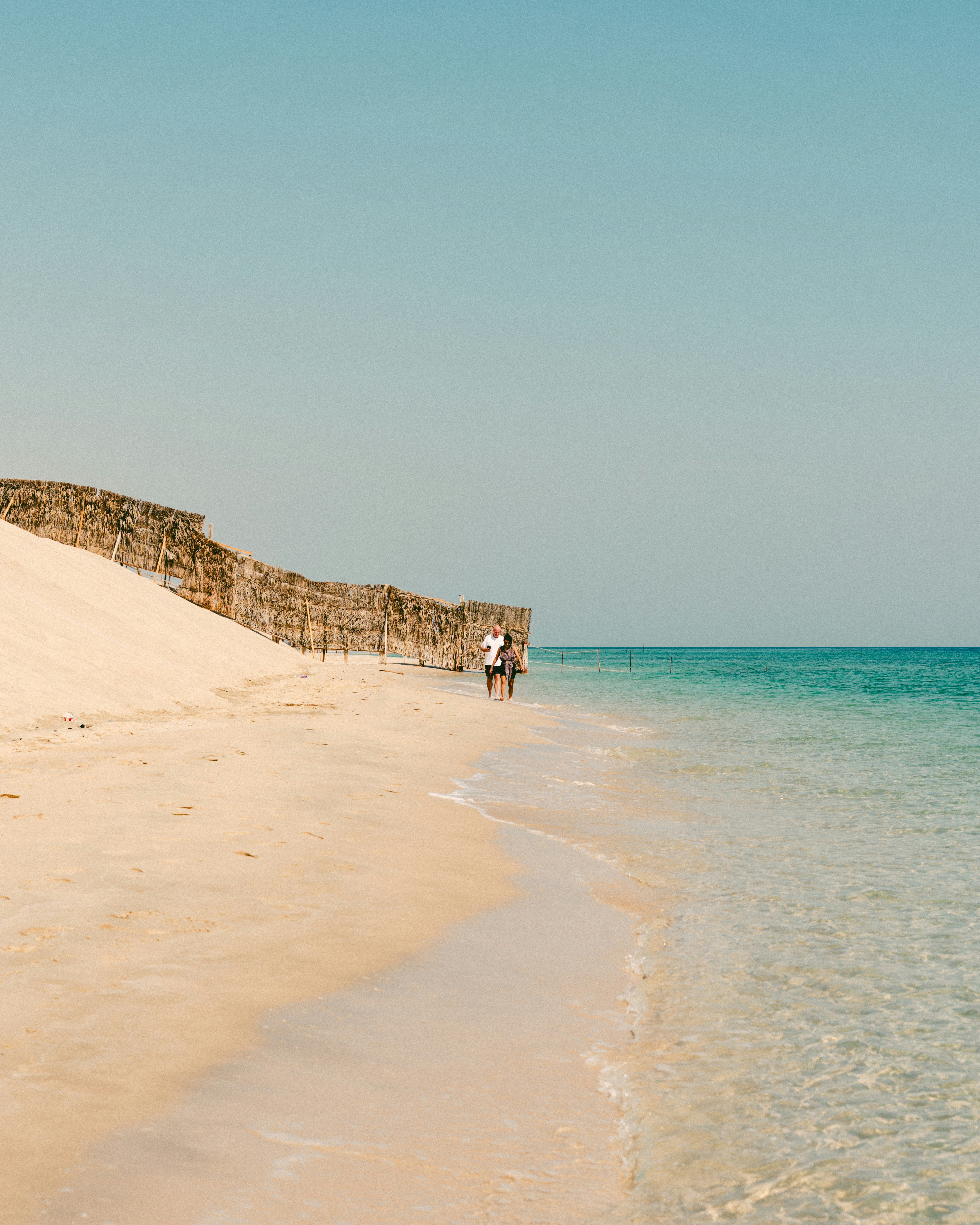 Quiet shoreline where dunes meet the sea