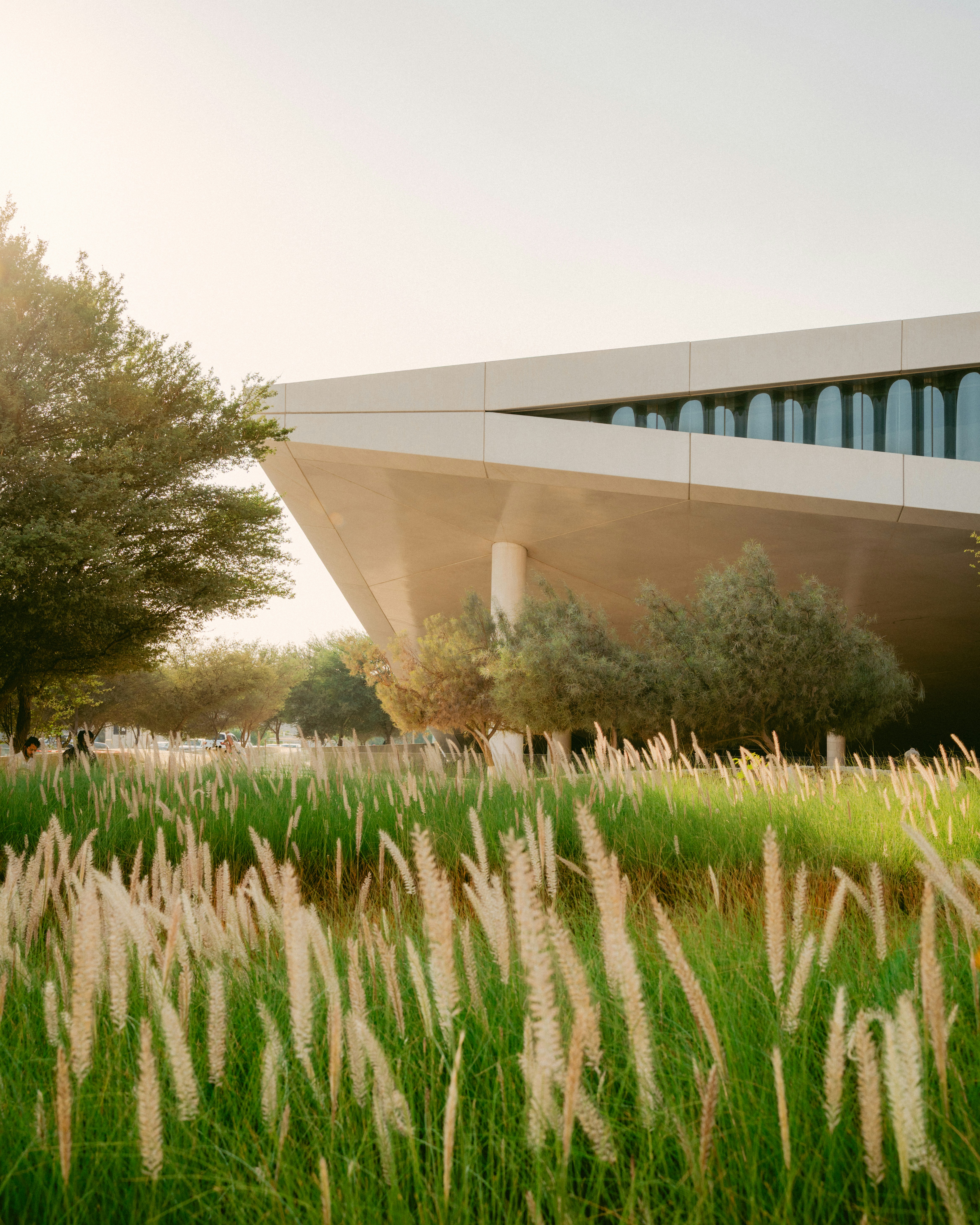 Angles in the Dusk: A Modern Pavilion Looms Over a Field of Feathered Grass