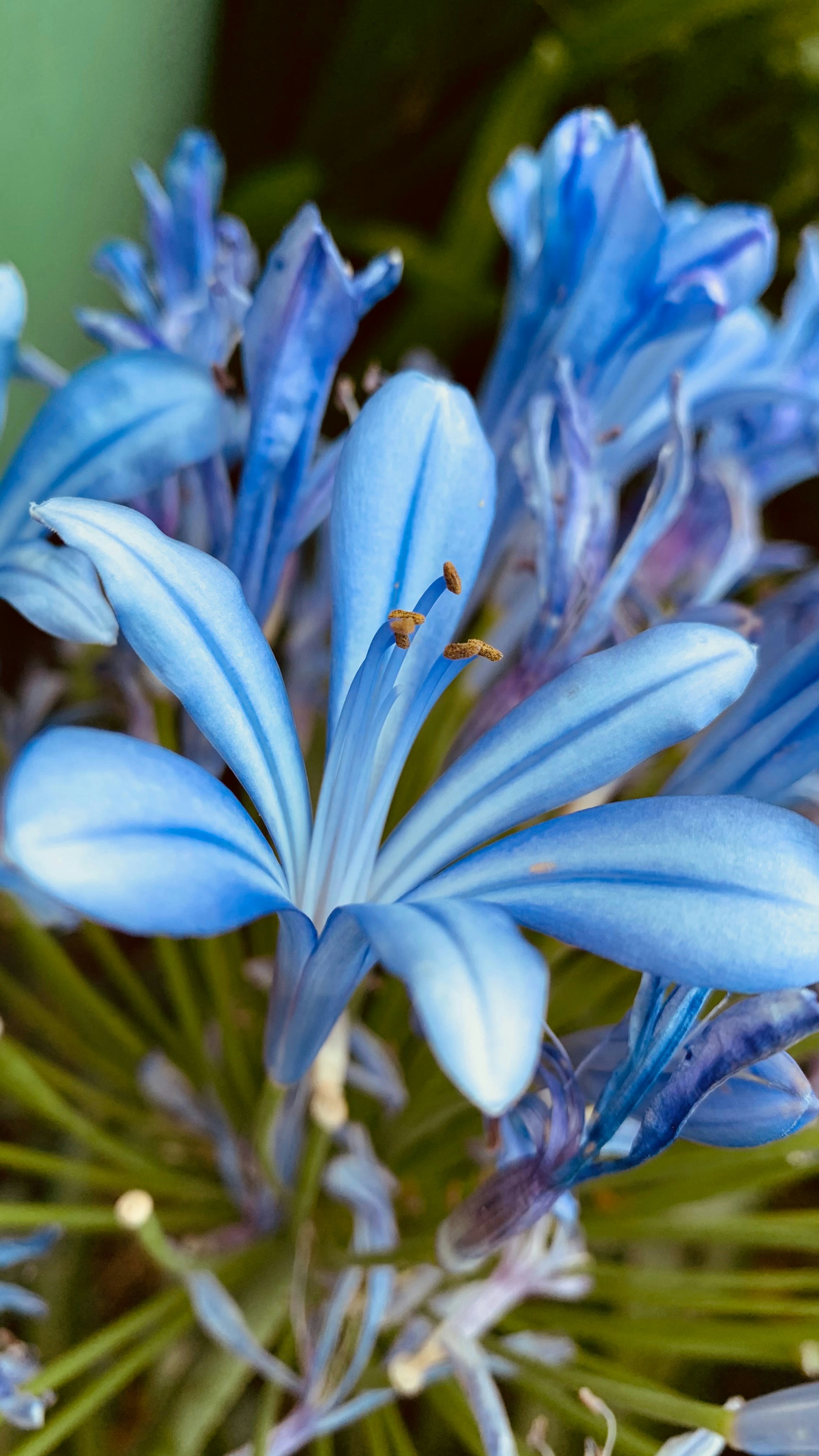 Photo by emily s with Apple iPhone XR