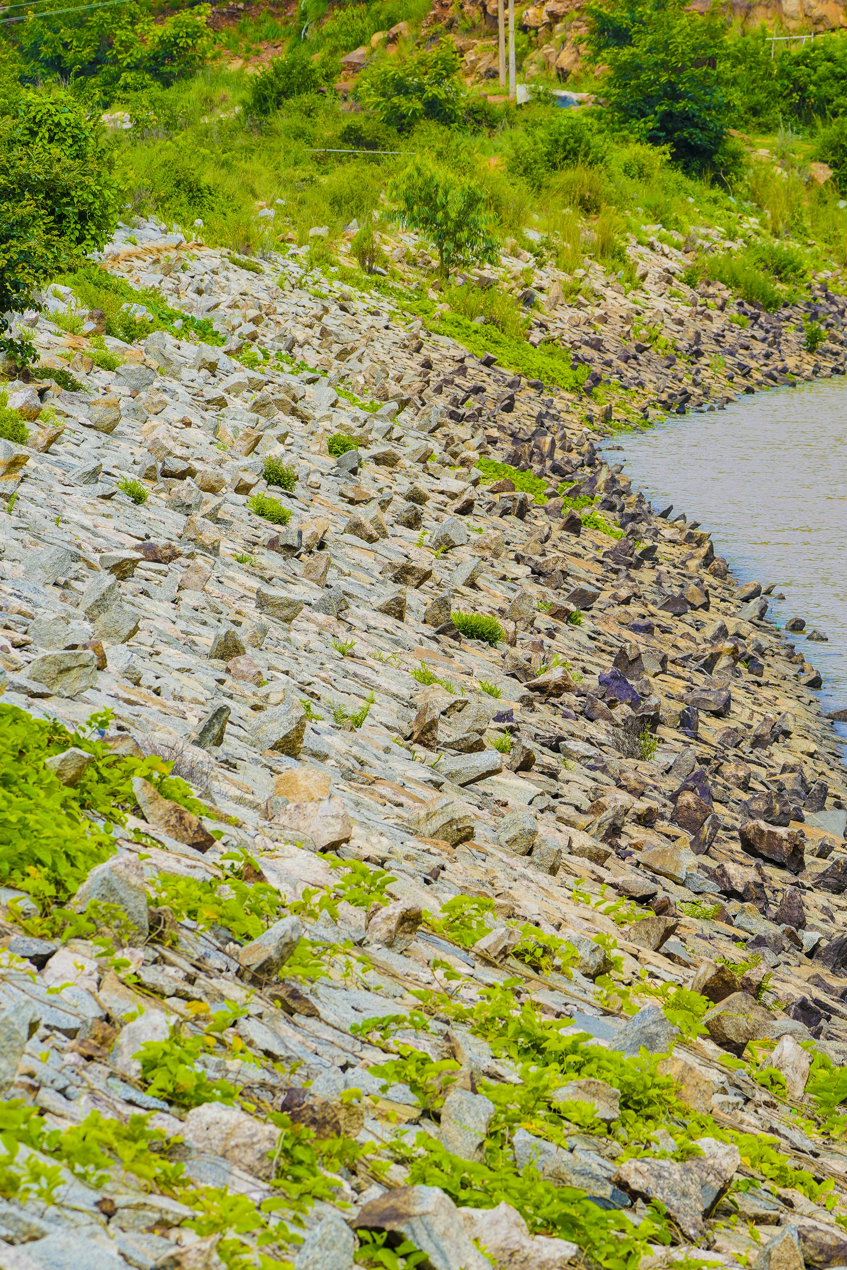 Rhythms of Rock: Diagonal Breakwater and Verdant Shoreline