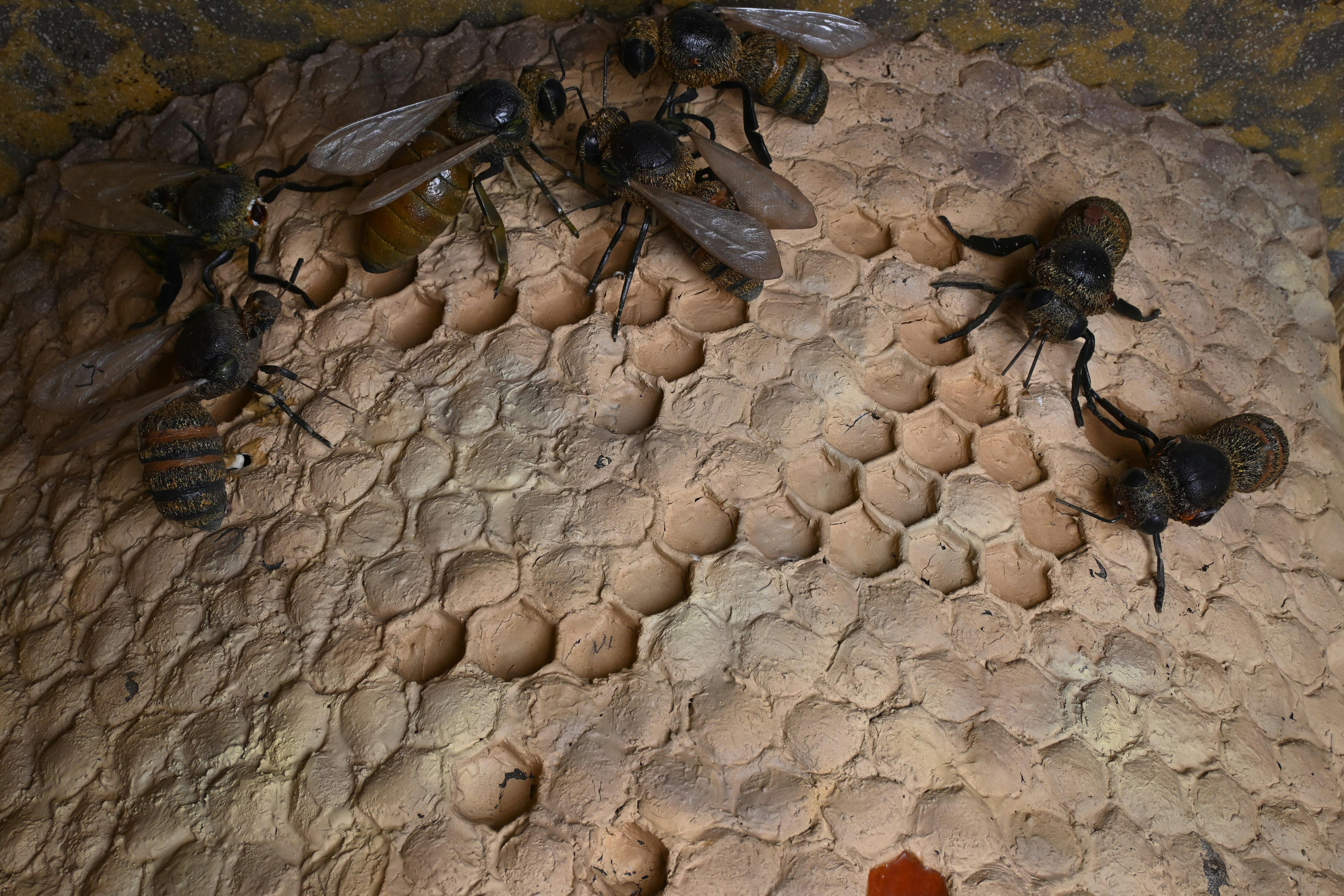 Photo by Karolina Bobek with Nikon Z30