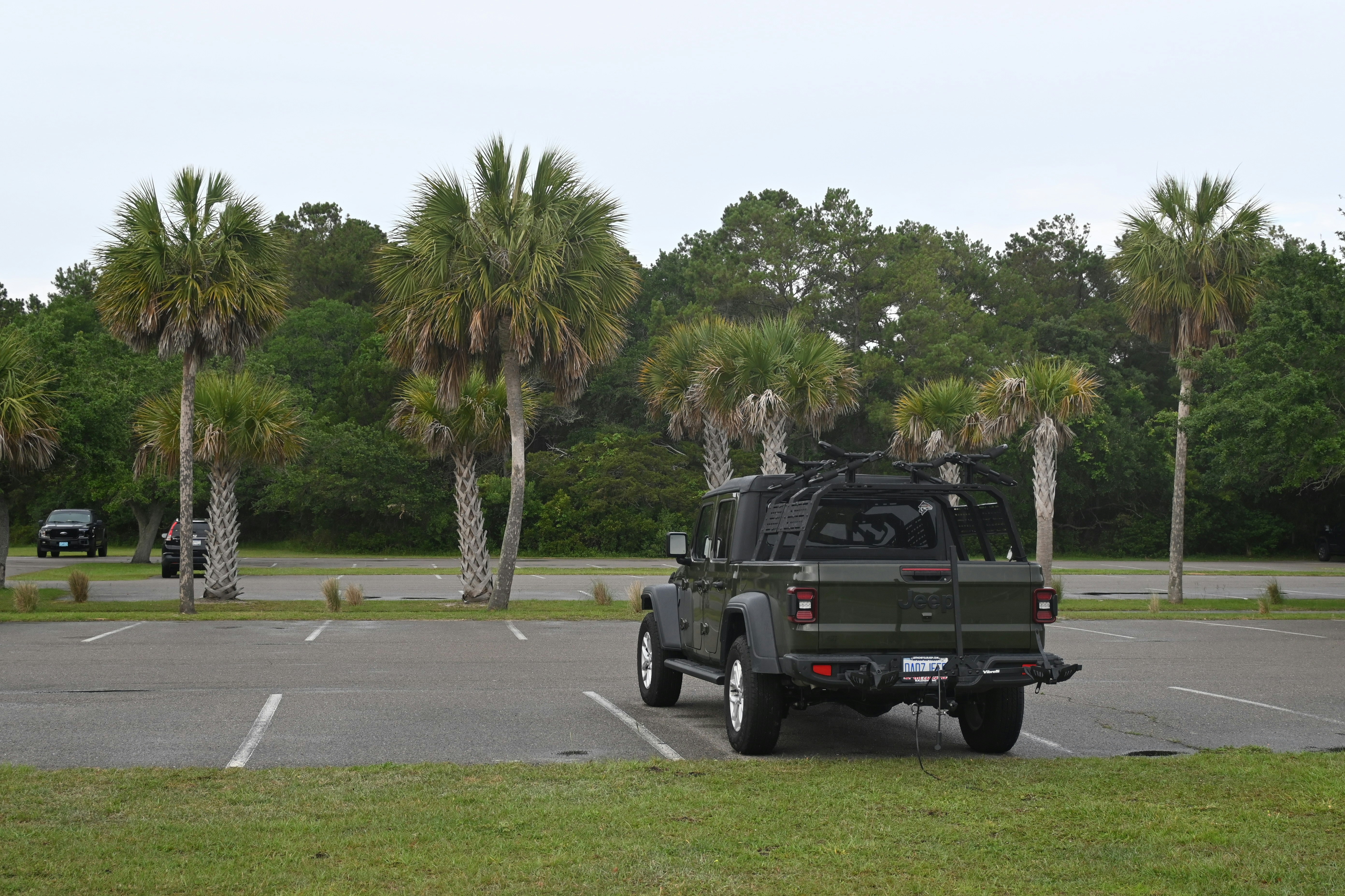 Photo by Karolina Bobek with Nikon Z30