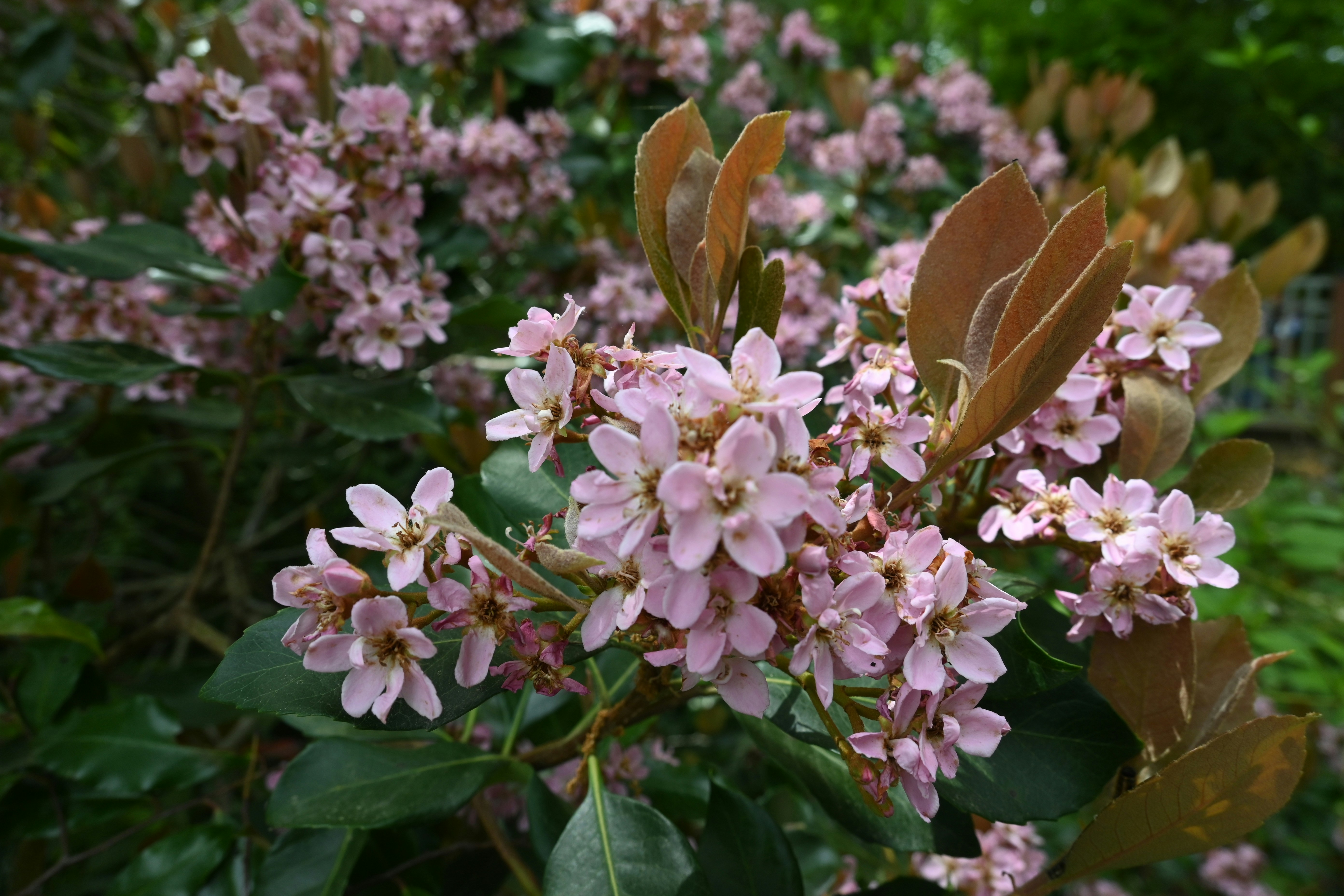 Photo by Karolina Bobek with Nikon Z30