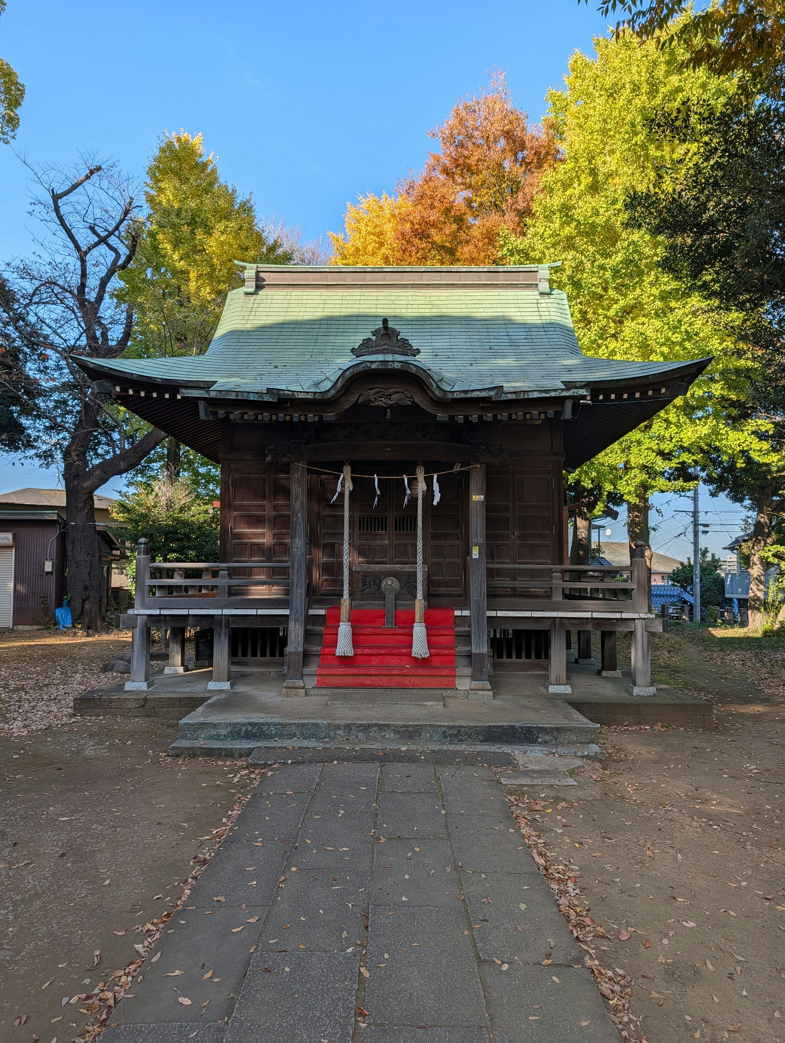 Sample photo from Google Pixel 10 Pro