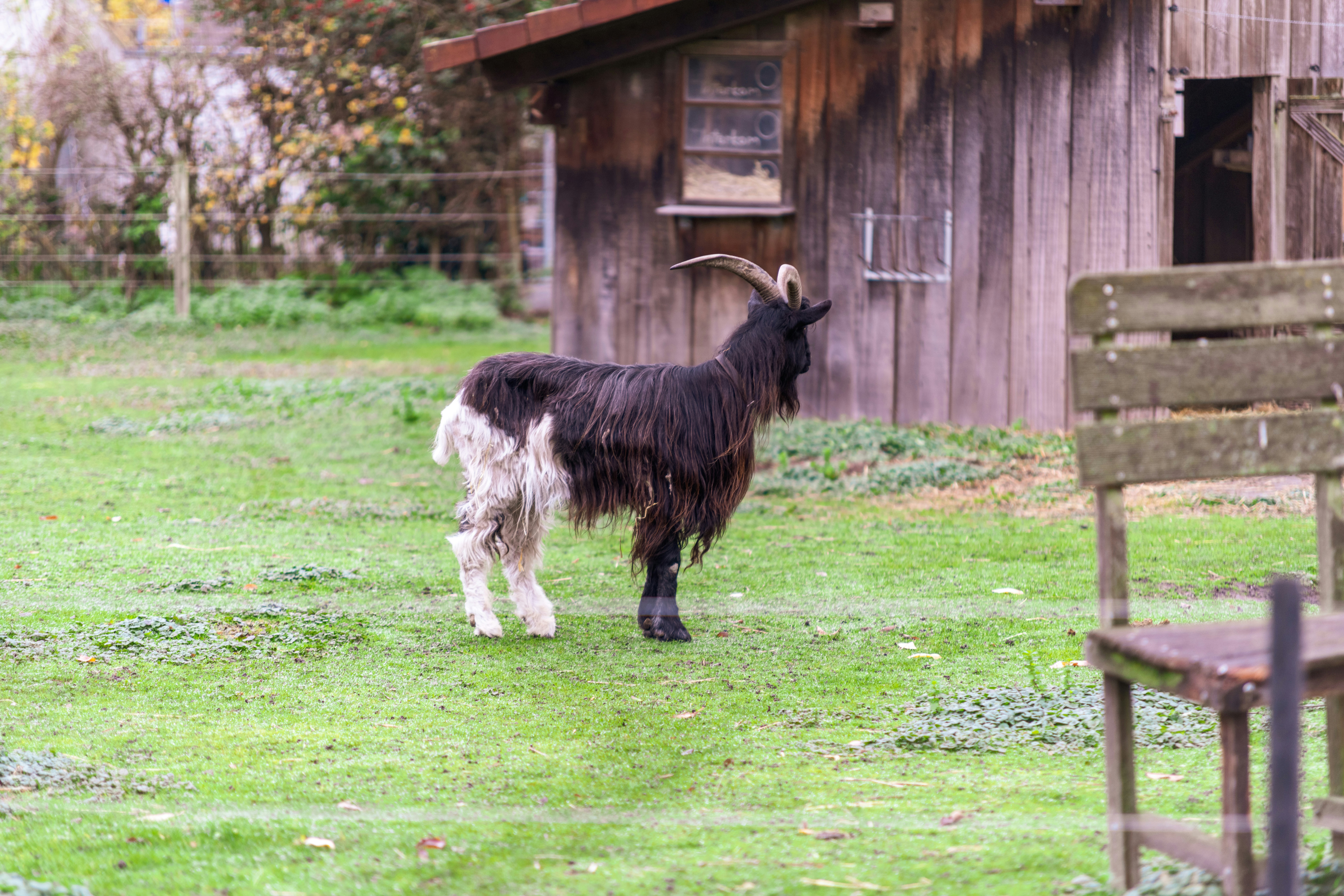 Photo by Sergej Karpow with Nikon D850