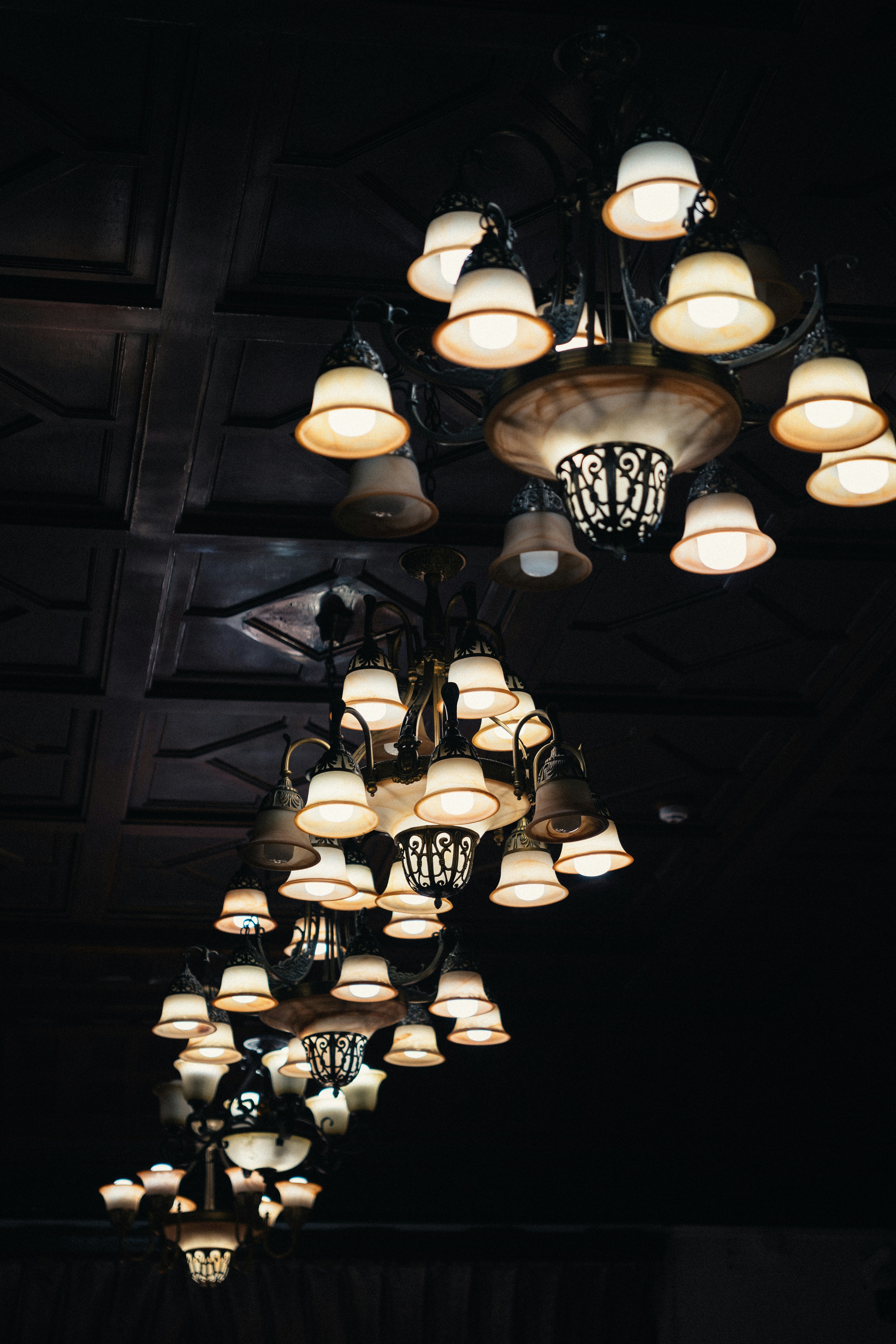 Photo by LISK OBE with Panasonic Lumix S5