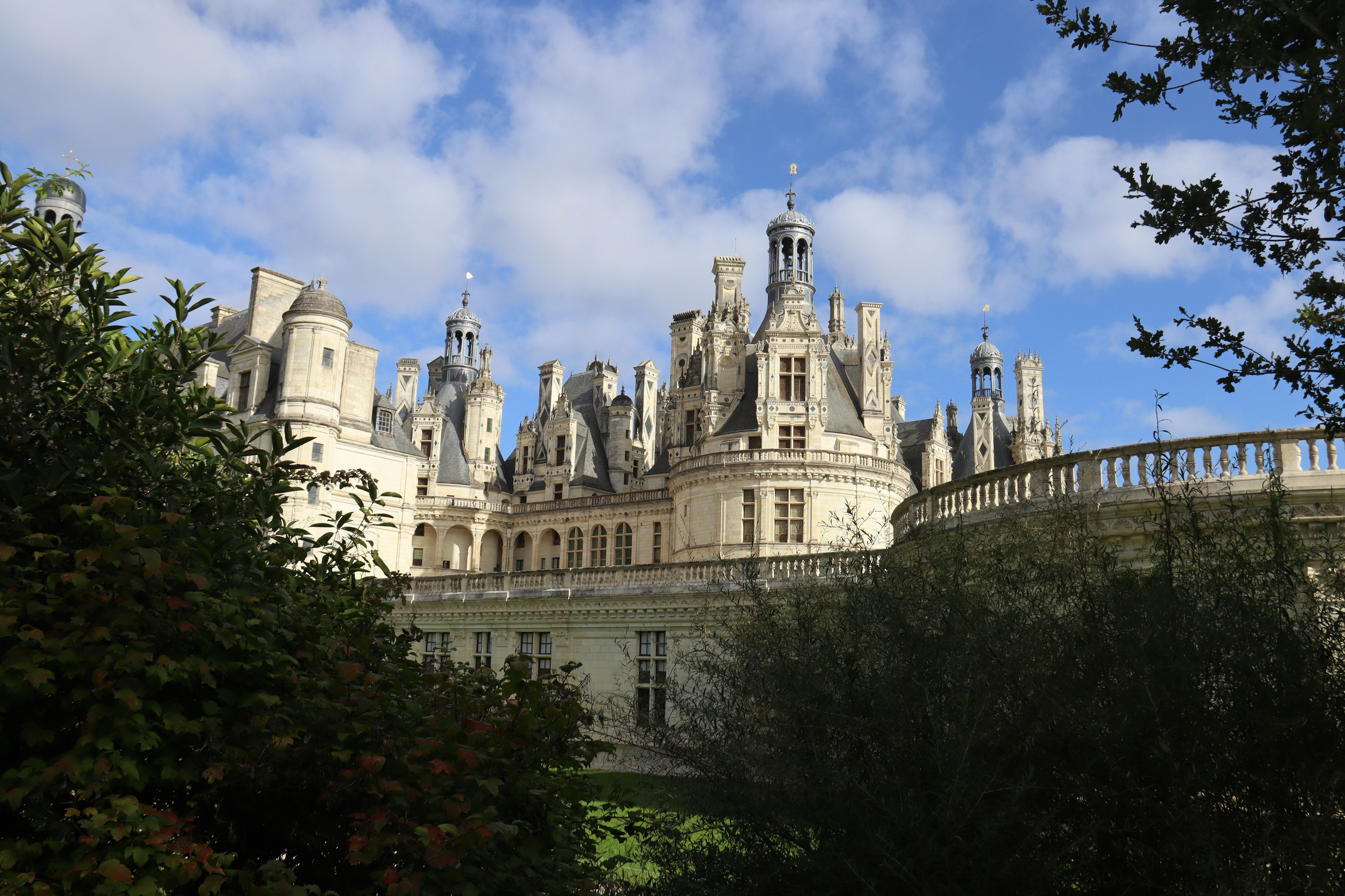 Photo by Shalev Cohen with Canon EOS 850D